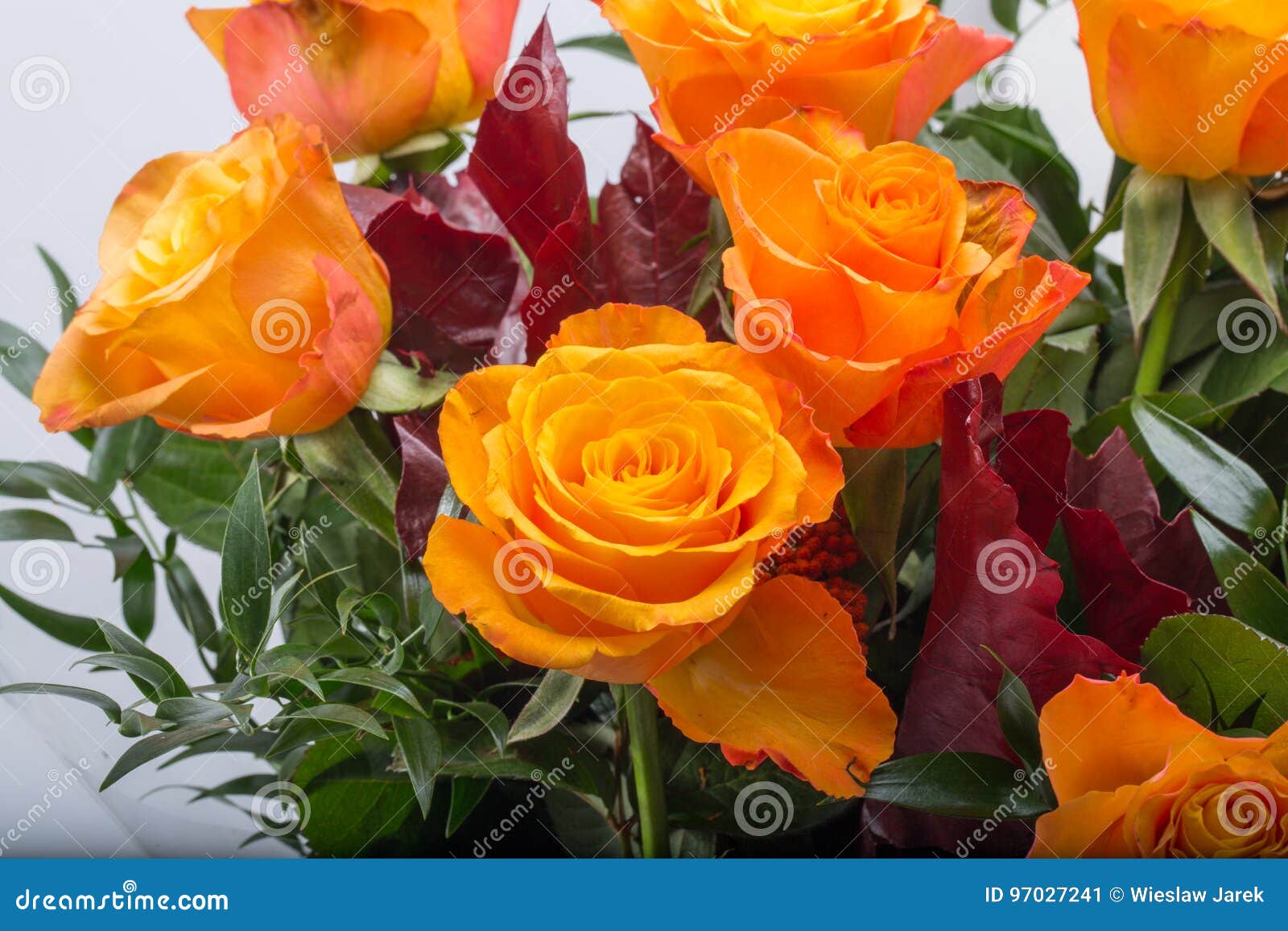 Bouquet of orange roses stock image. Image of aroma, plant - 97027241