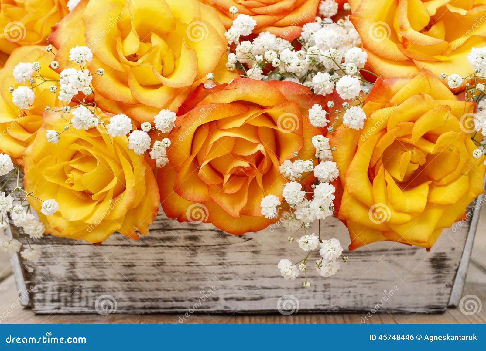 Bouquet of orange roses stock photo. Image of florist - 45748446