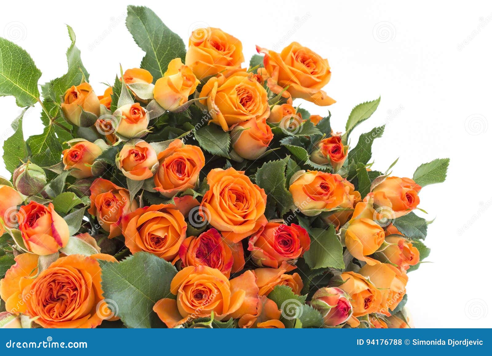 Bouquet of Orange Roses stock photo. Image of isolated - 94176788