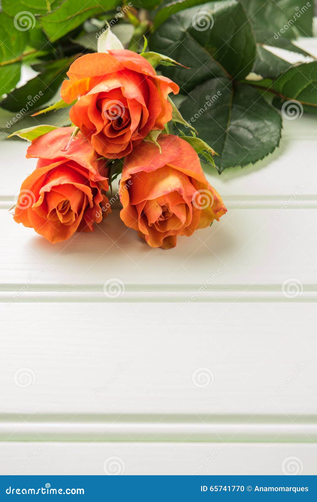 A Bouquet of Orange Roses on Wooden Table. Copy Space Stock Photo ...