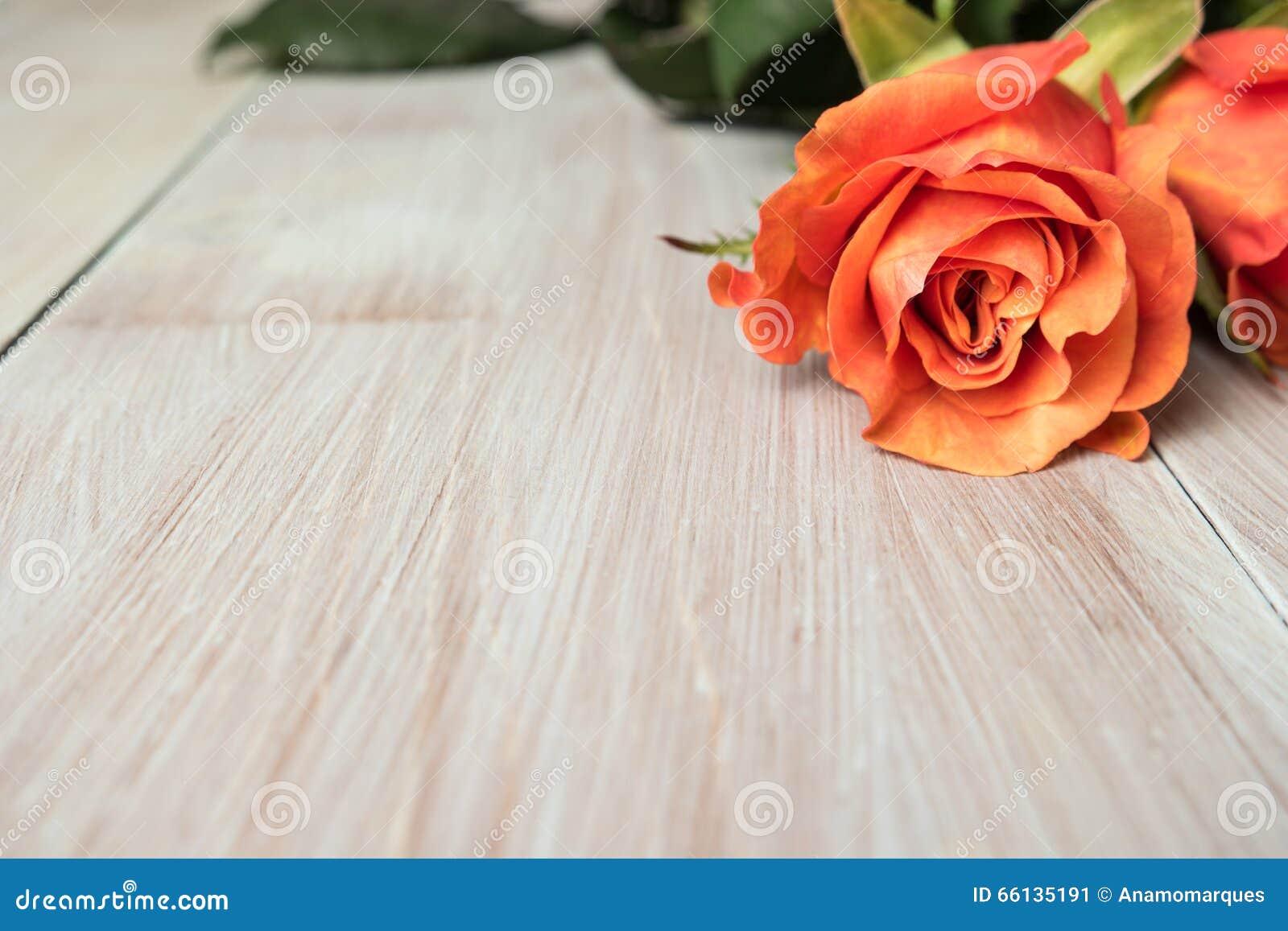 A Bouquet of Orange Roses on Wooden Table. Copy Space Stock Image ...