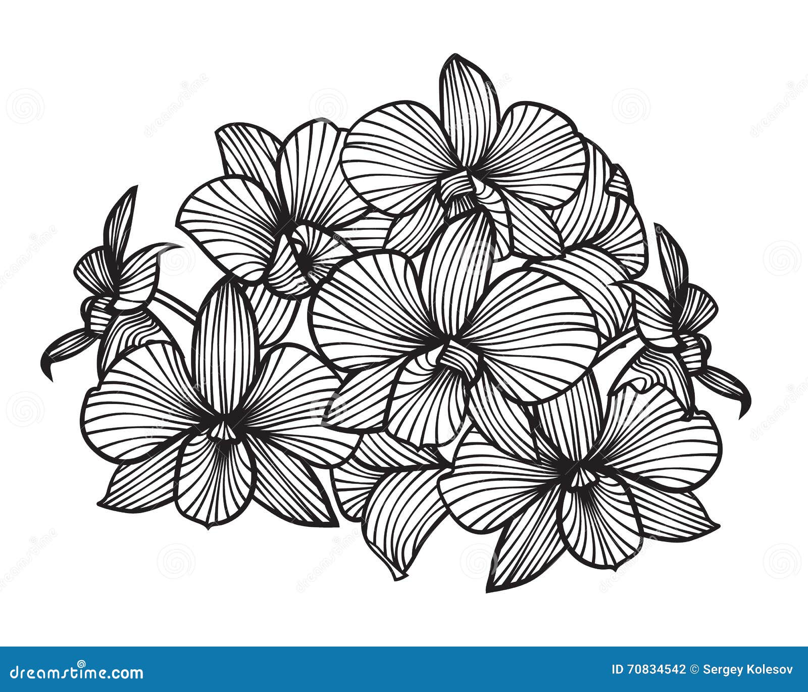 Bouquet of orchids stock vector. Illustration of abstract - 70834542