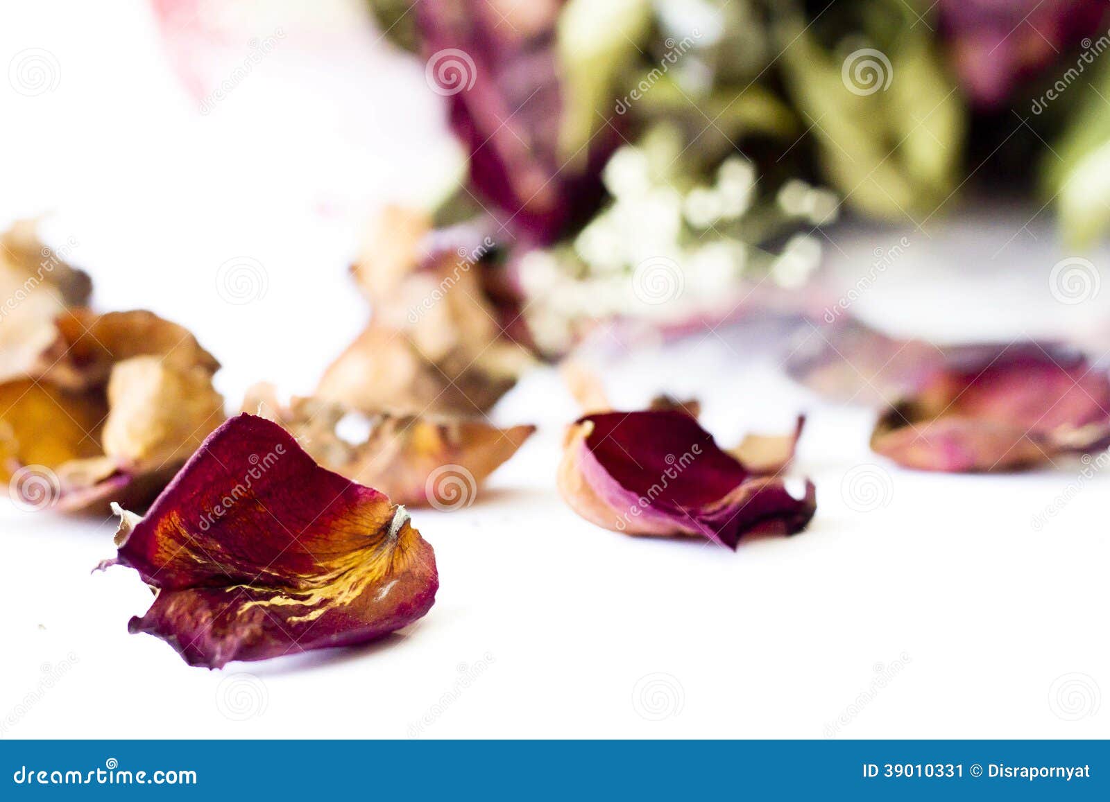 Bouquet Of Pink Dried Roses On Background Royalty-Free Stock ...