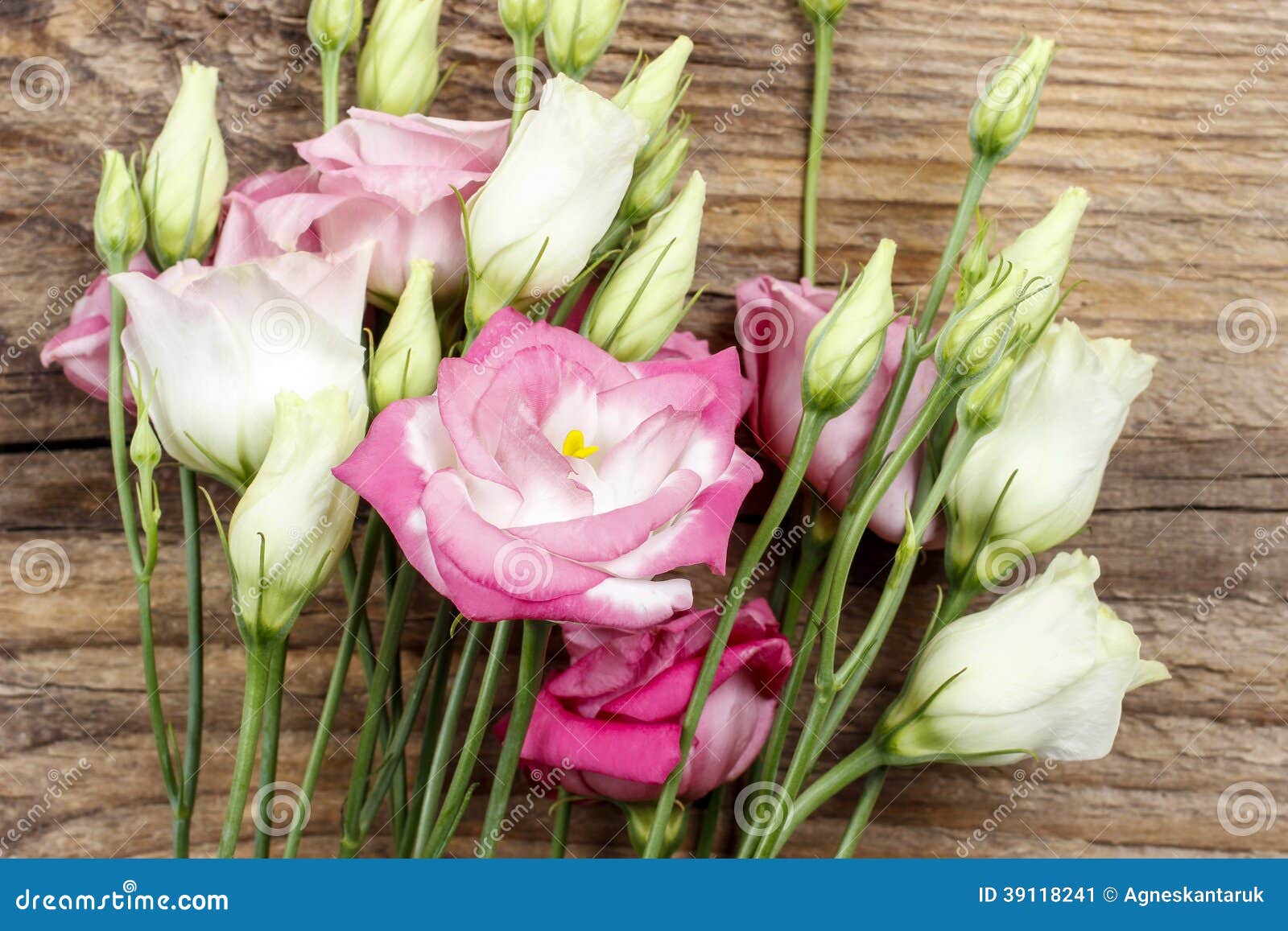 Bouquet of Pink Eustoma Flowers Stock Image - Image of birthday ...