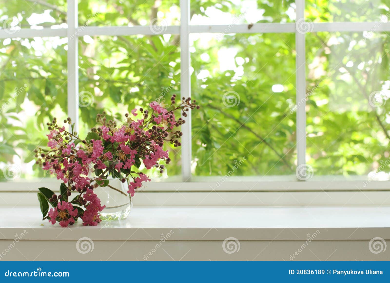 Bouquet of Pink Flowers on a Window Stock Image - Image of plant, room ...