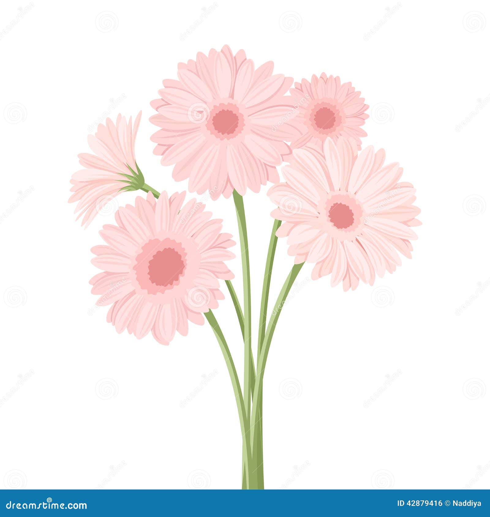 Bouquet of Pink Gerbera Flowers. Vector Illustration. Stock Vector ...