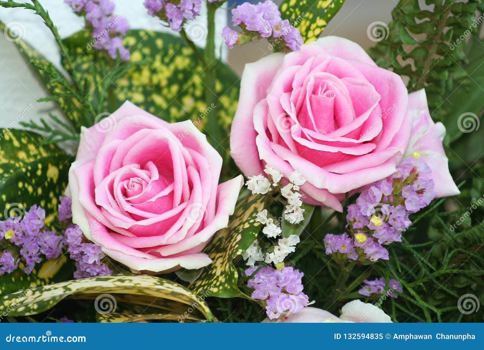 Bouquet of pink rose stock image. Image of beautiful - 132594835