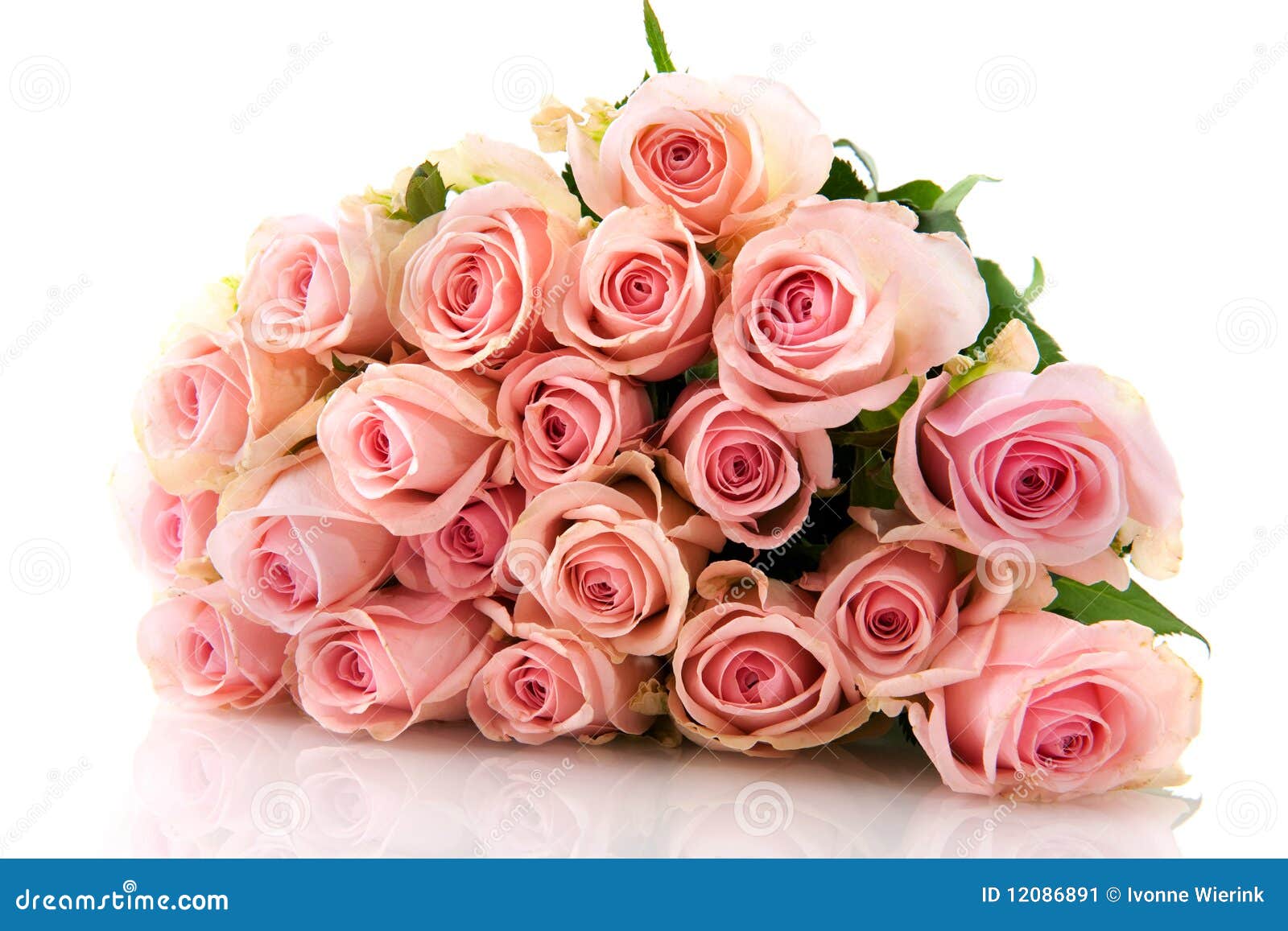 Bouquet pink roses stock image. Image of flowers, present - 12086891