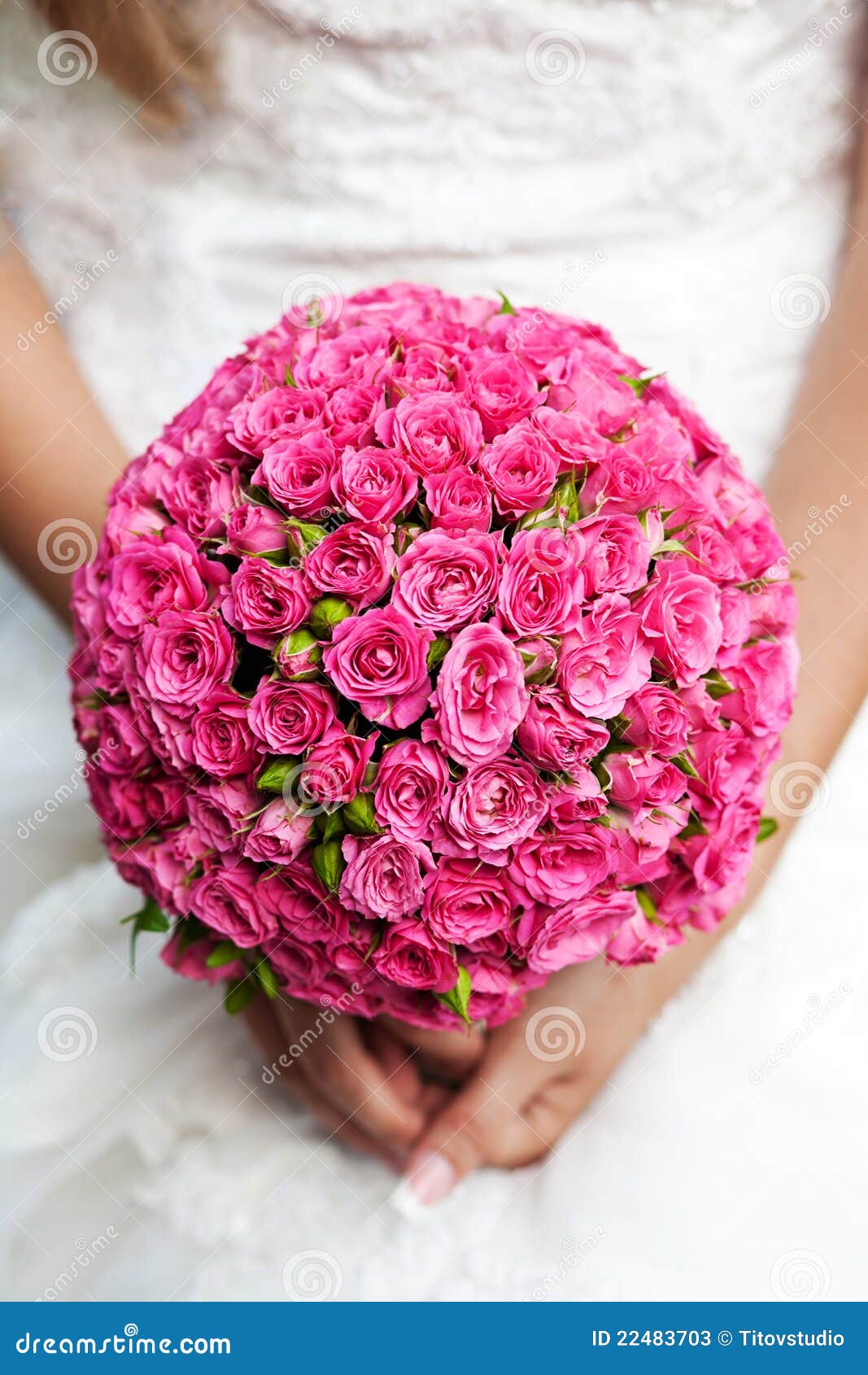 Bouquet of pink roses stock image. Image of bloom, floral - 22483703