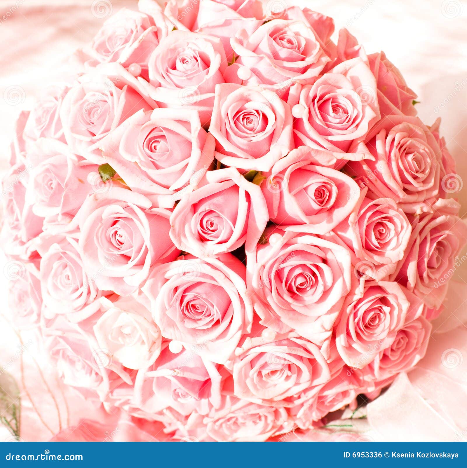 Bouquet of pink roses stock photo. Image of happiness - 6953336