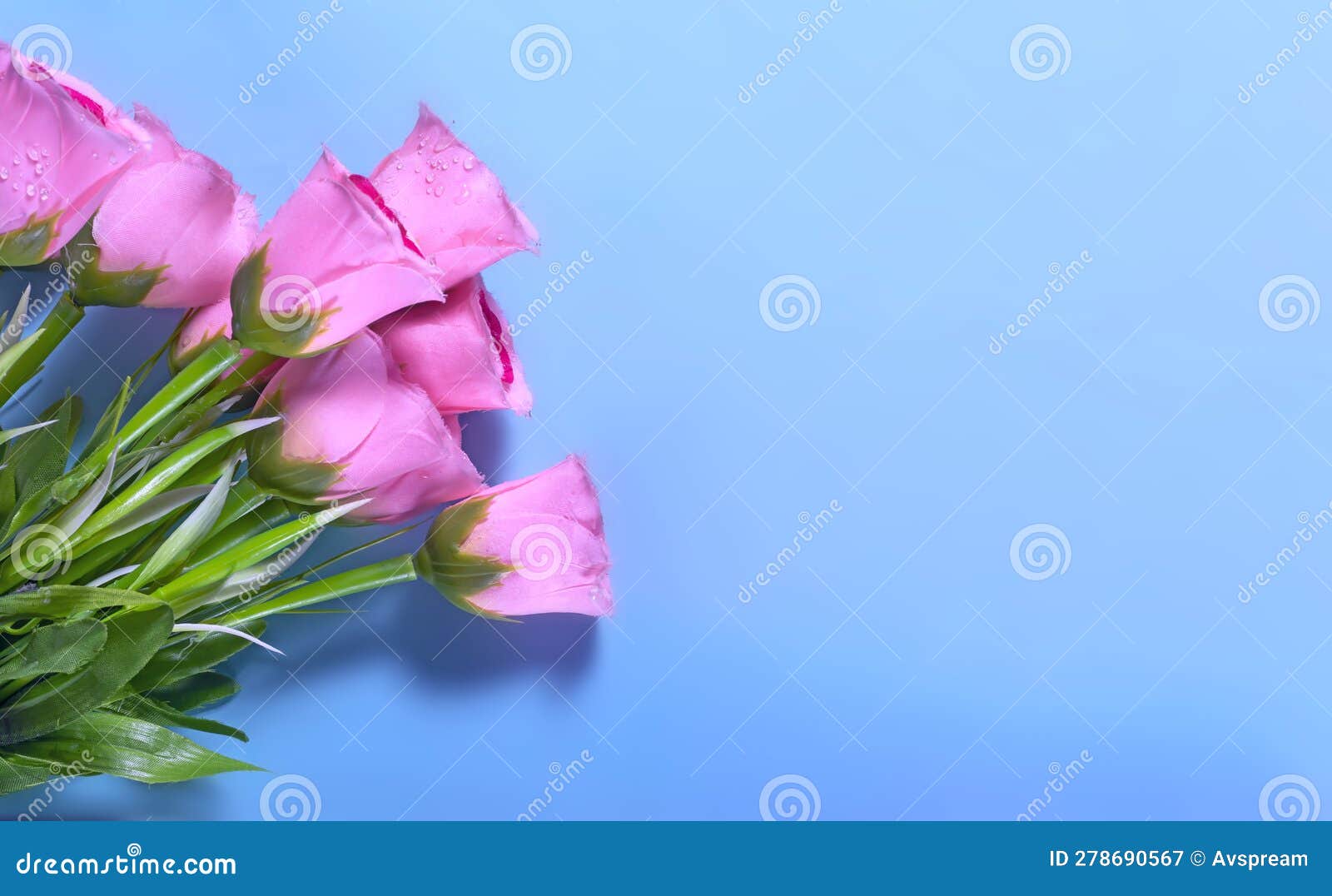 Bouquet of Pink Roses on Blue Background, Copy Space for Text Stock ...