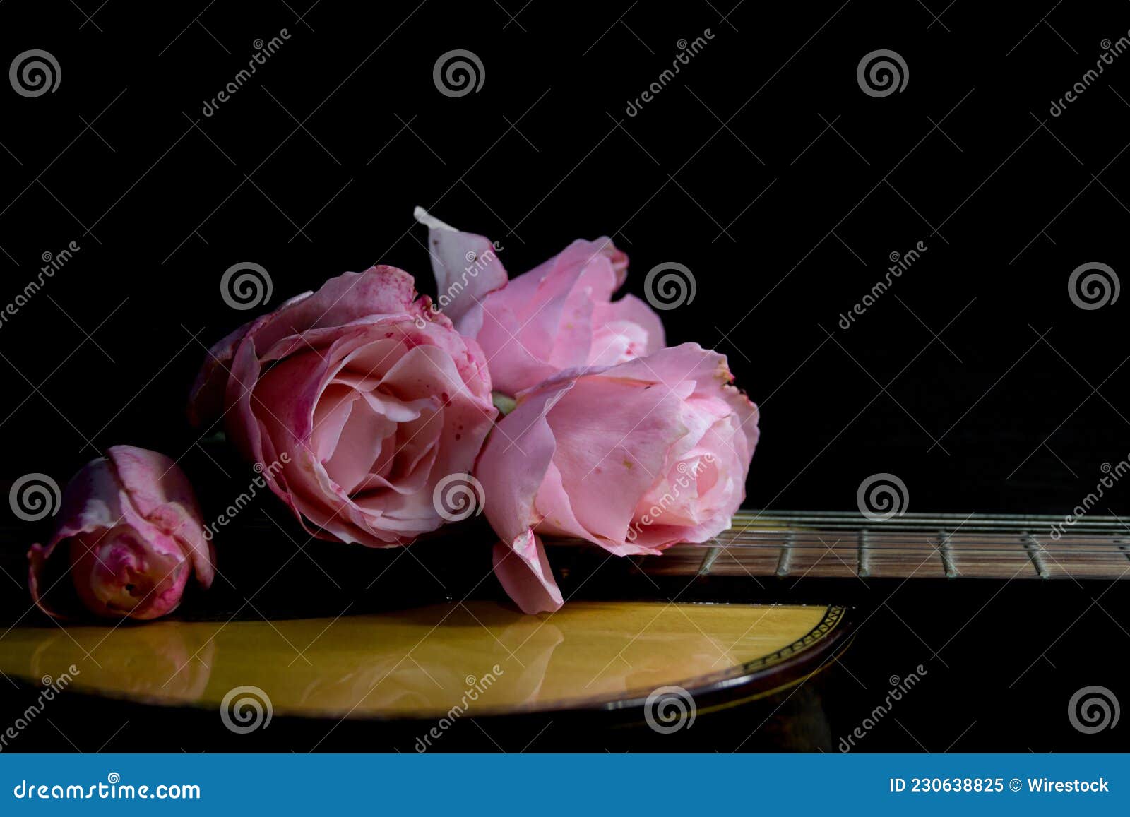 A Bouquet of Pink Roses on the Guitar Strings Stock Image - Image of ...
