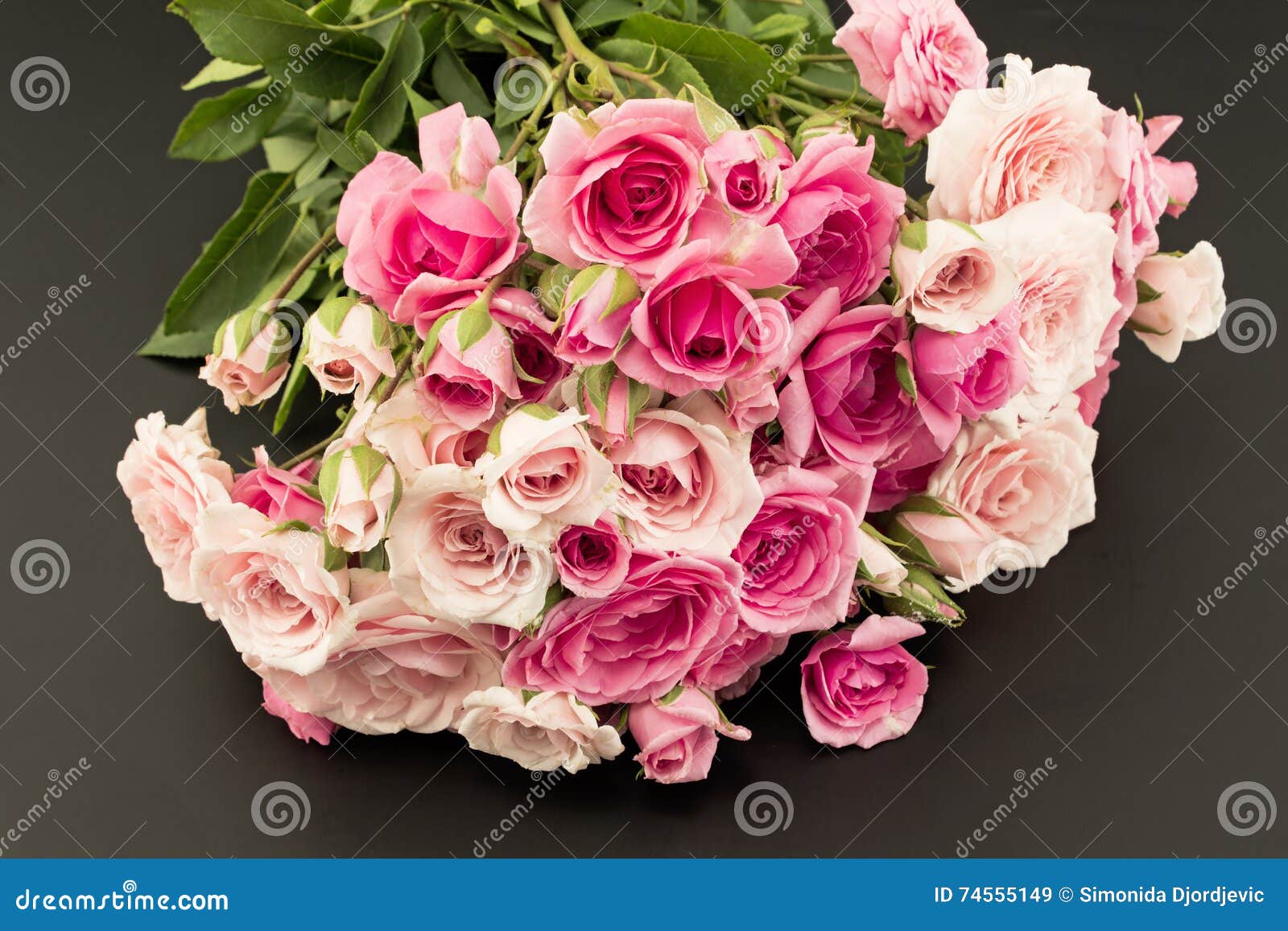 Bouquet of Pink Roses Isolated on Black Stock Image - Image of ...