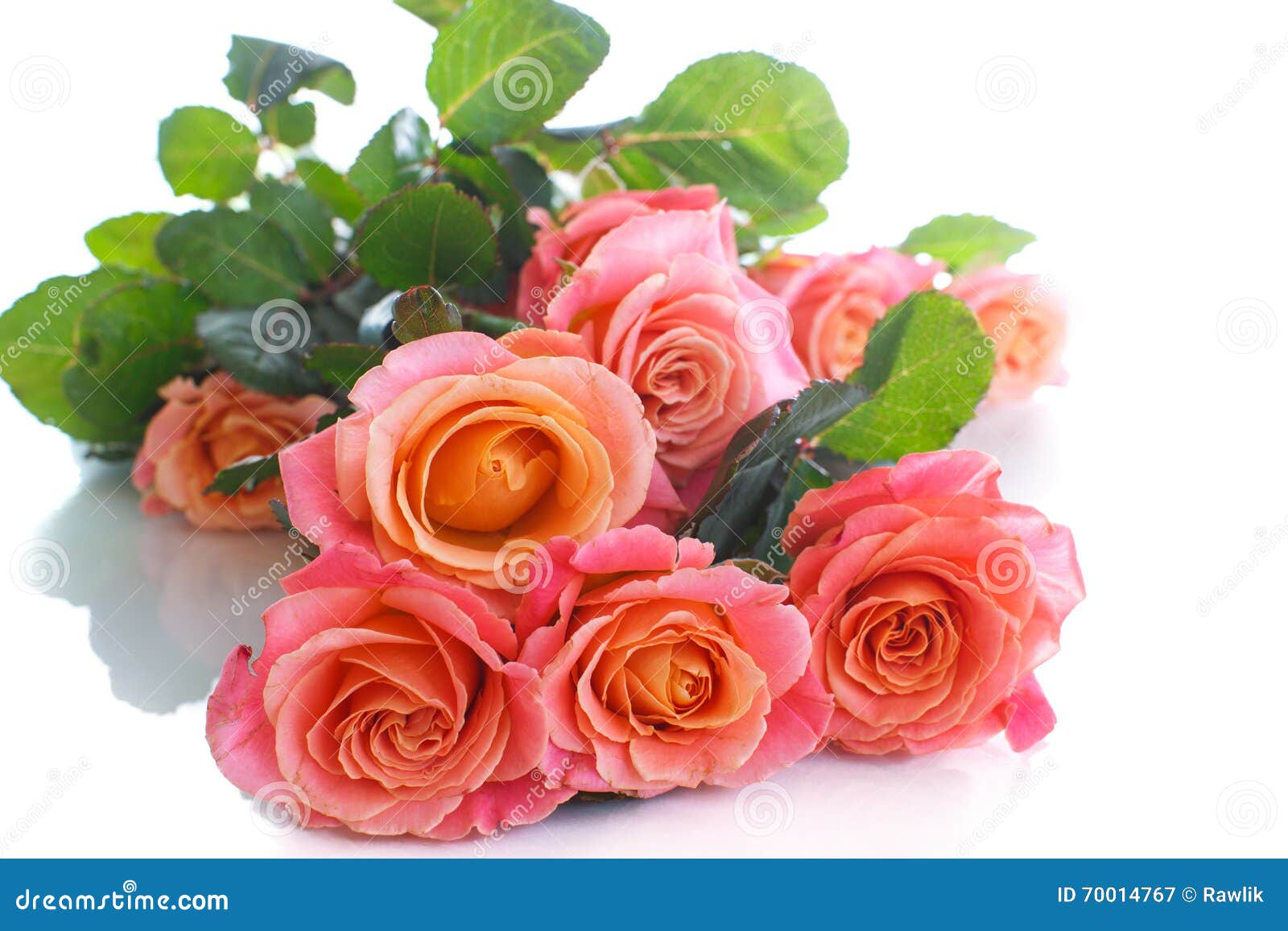 Bouquet of pink roses stock image. Image of frame, garden - 70014767