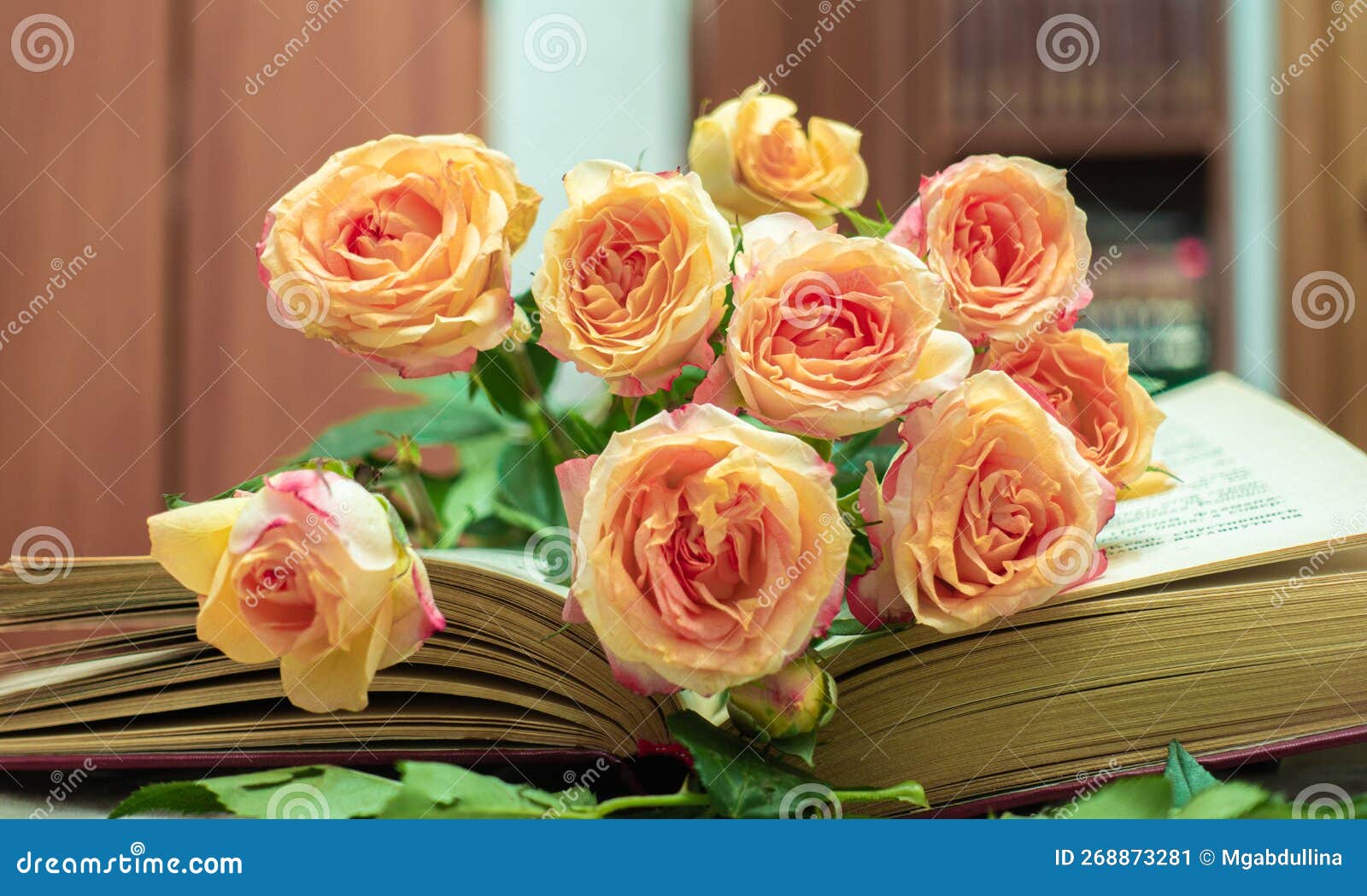 A Bouquet of Pink Roses Lies on a Book. Thirst for Knowledge ...
