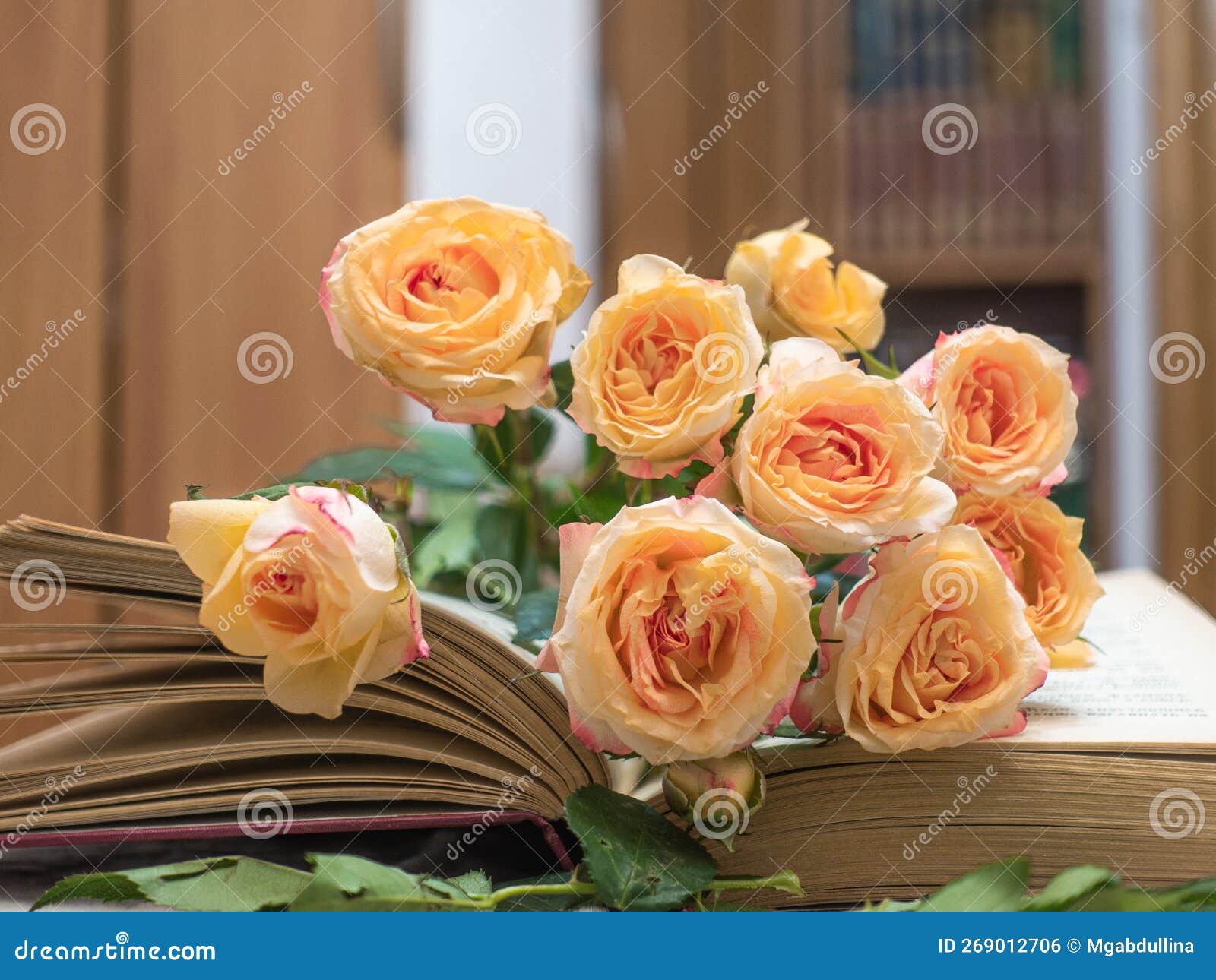 A Bouquet of Pink Roses Lies on a Book. Thirst for Knowledge ...