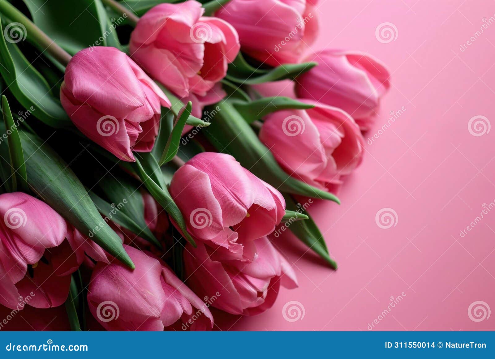 Bouquet of Pink Tulips Bunch of Pink Tulips Stock Illustration ...