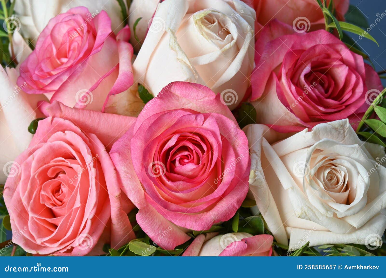 Bouquet of Pink and White Roses Stock Image - Image of roses, bride ...