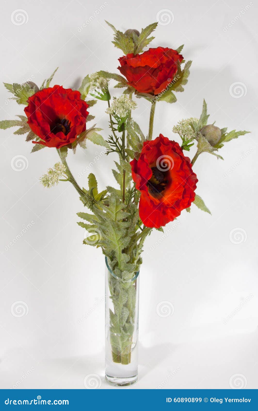 Bouquet of poppies stock image. Image of vertical, seasonal - 60890899