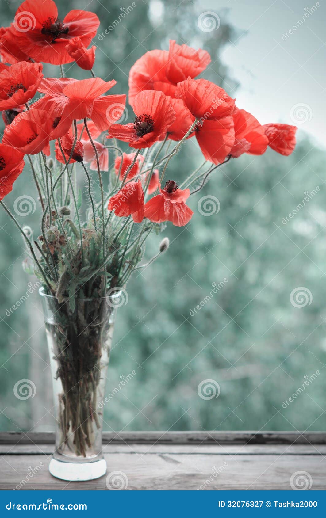 Bouquet of poppies stock image. Image of posy, vertical - 32076327