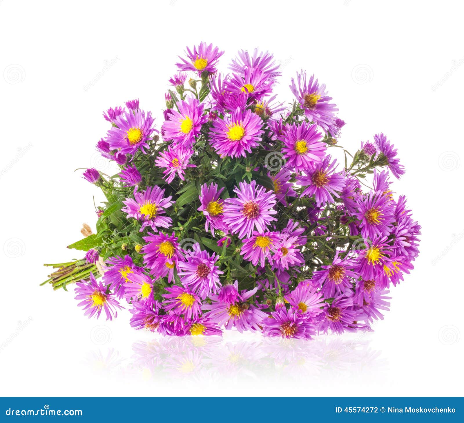 Bouquet Of Purple Scotch Heather Bush Calluna Vulgaris, Erica, Ling ...