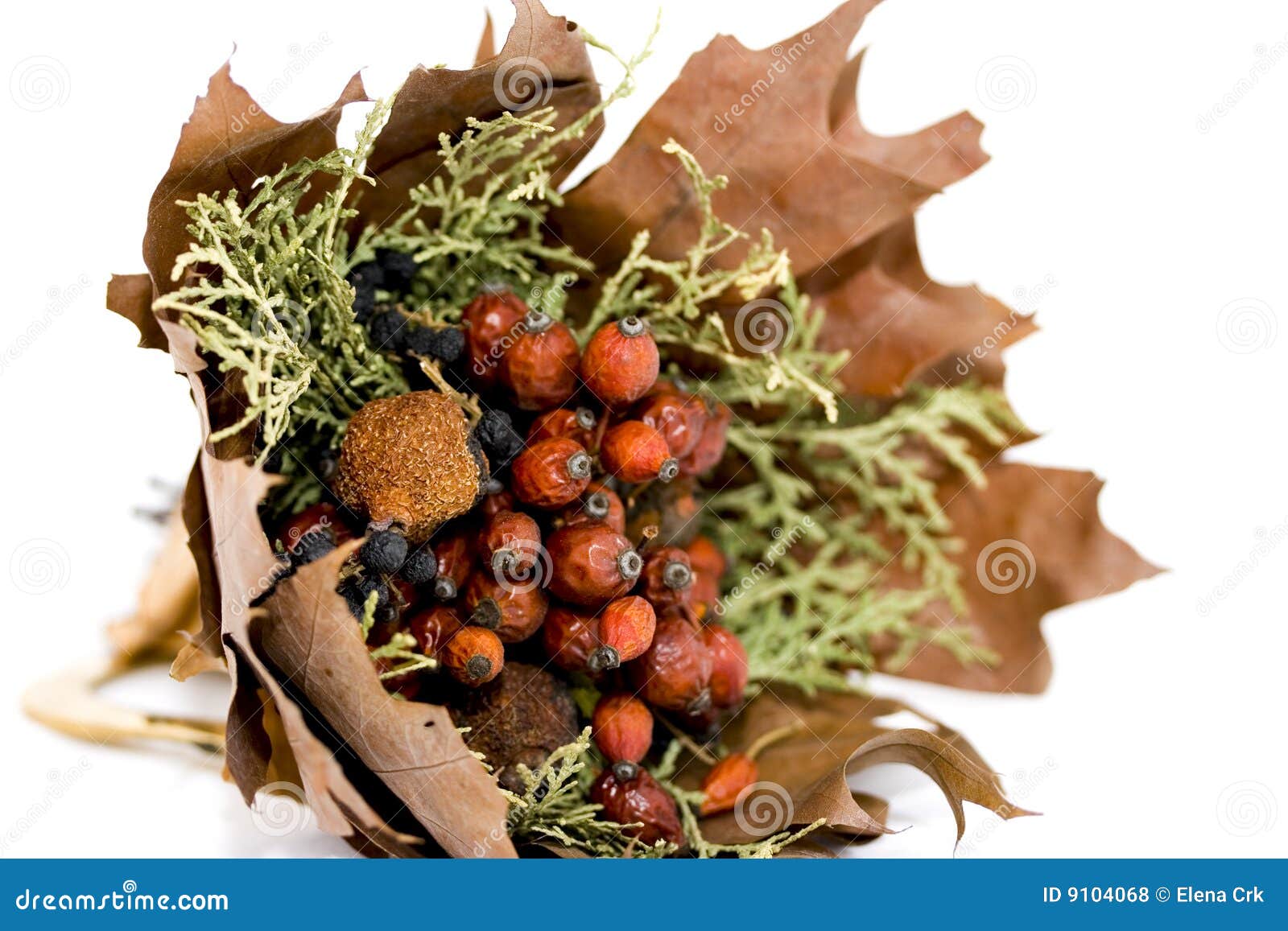 Bouquet with red berries stock photo. Image of close, leaves - 9104068