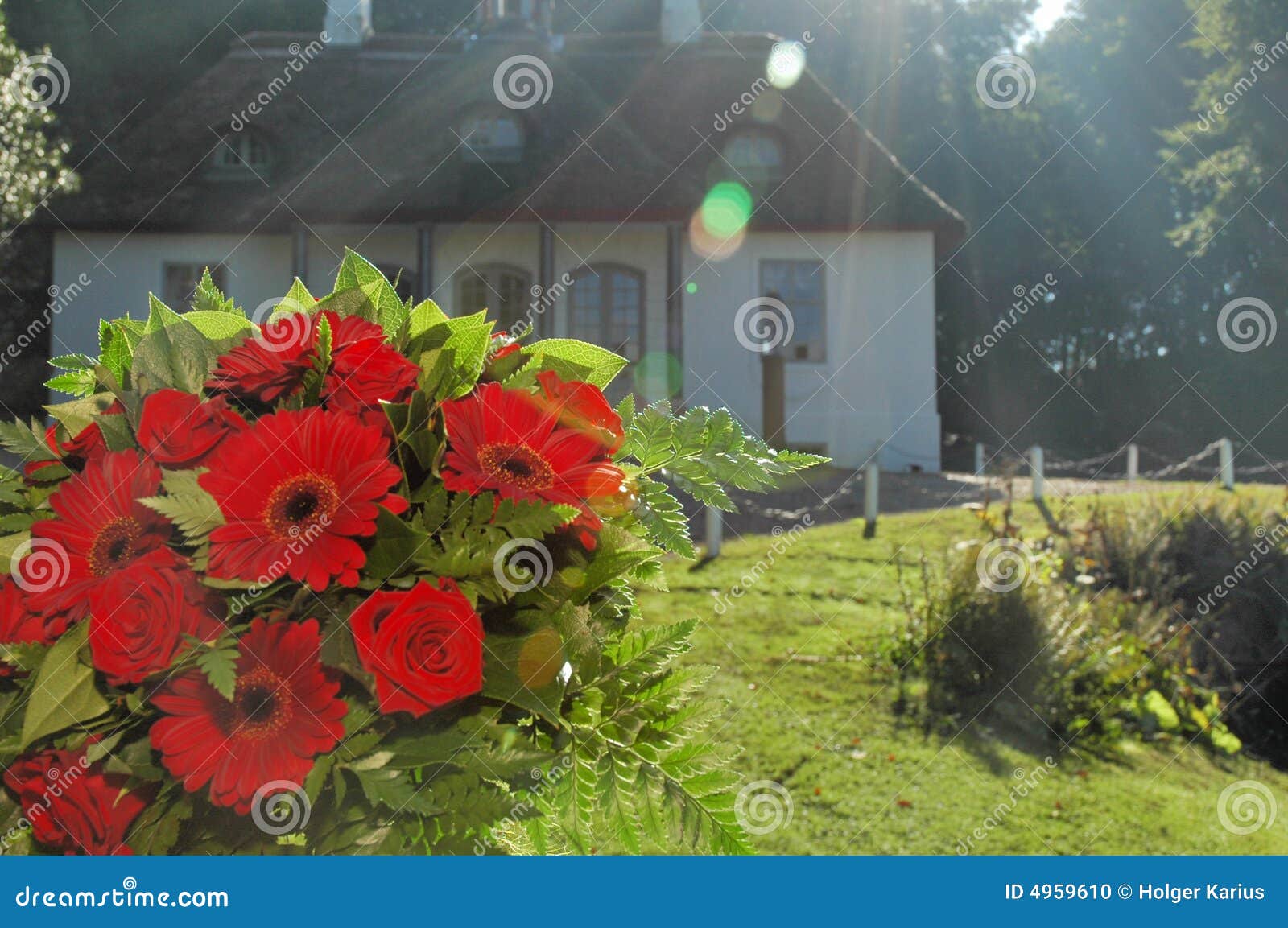 Bouquet of red flowers stock photo. Image of flourishing - 4959610