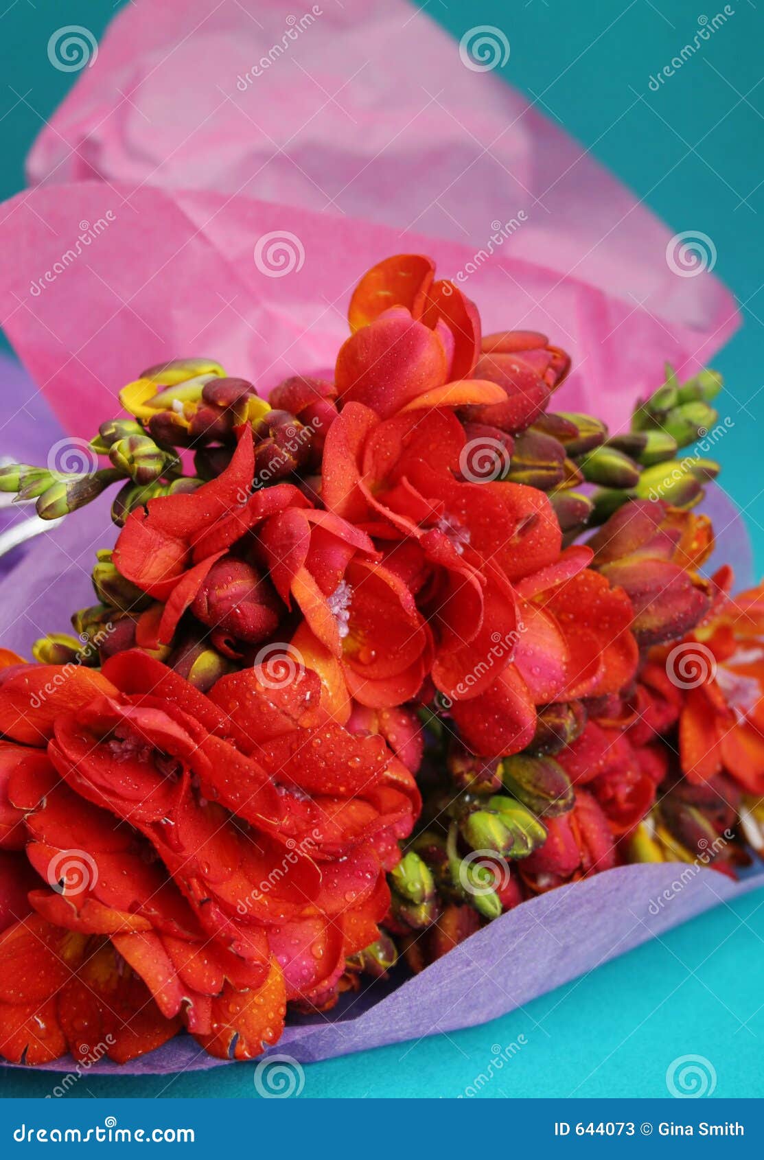Bouquet of red flowers stock image. Image of natural, wrap - 644073