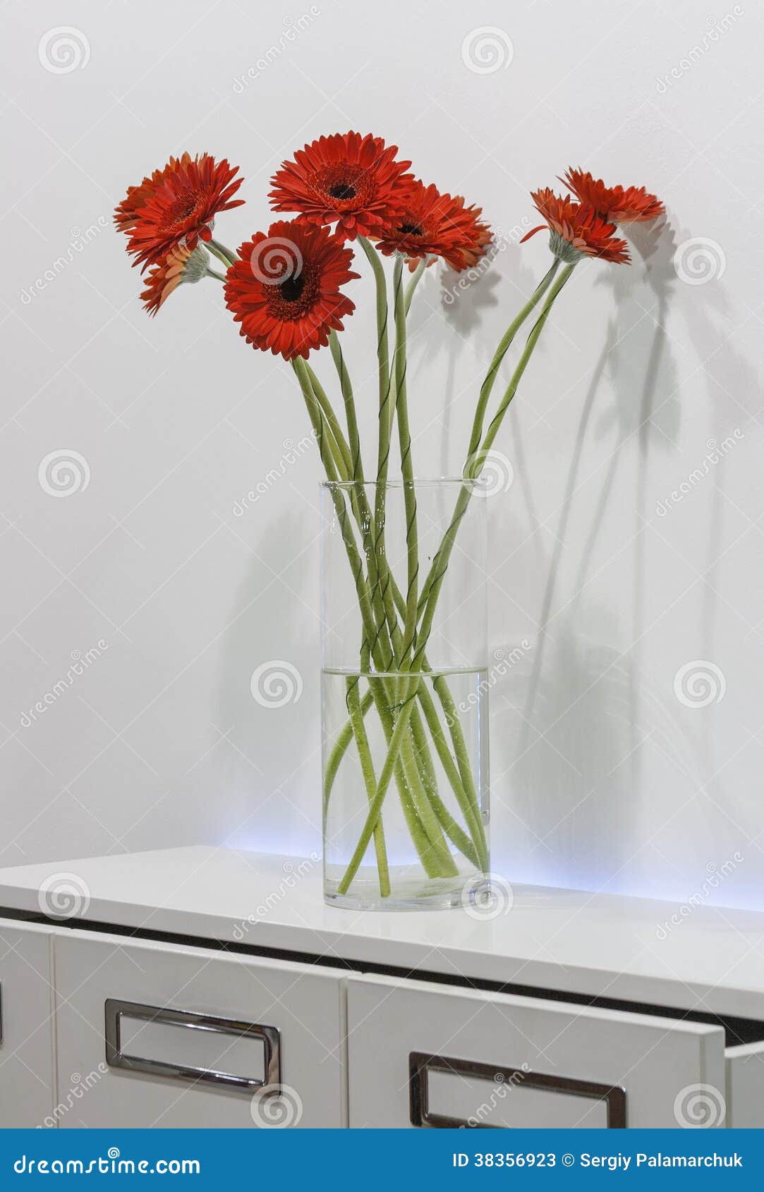 Bouquet of Red Gerberas in a Glass Vase Stock Image - Image of closeup ...