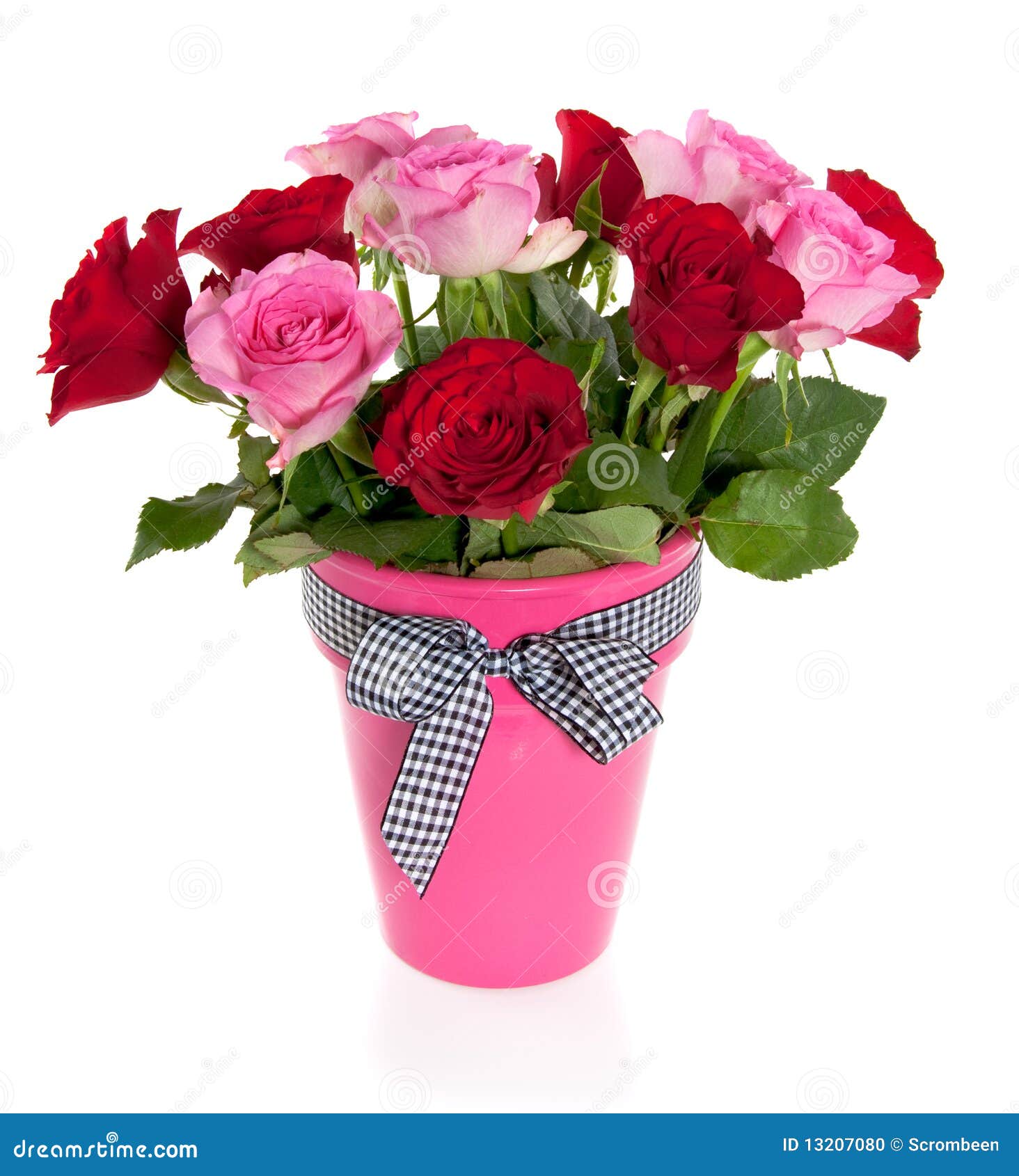 A Bouquet of Red and Pink Roses in a Pink Vase Stock Photo - Image of ...