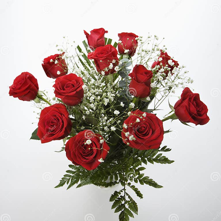 Bouquet of red roses. stock image. Image of petals, arrangement - 2426245