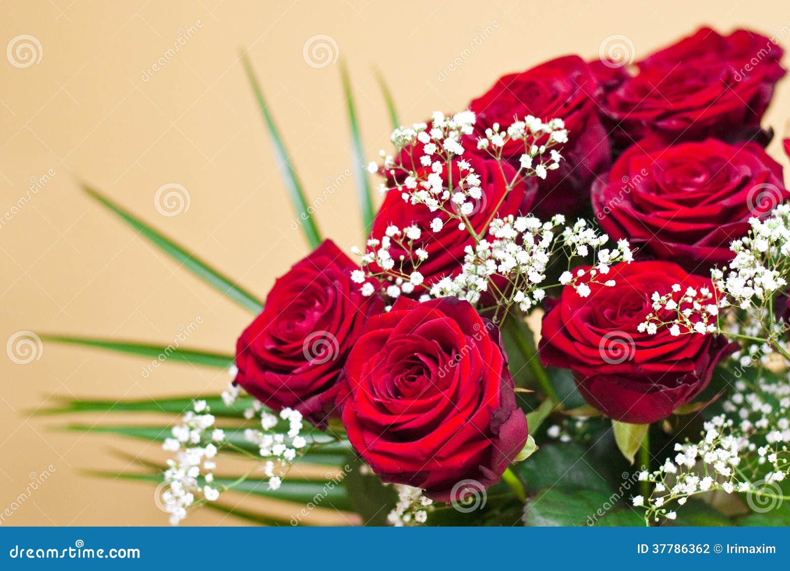 Red Roses Bouquet Royalty-Free Stock Photo | CartoonDealer.com #12199899