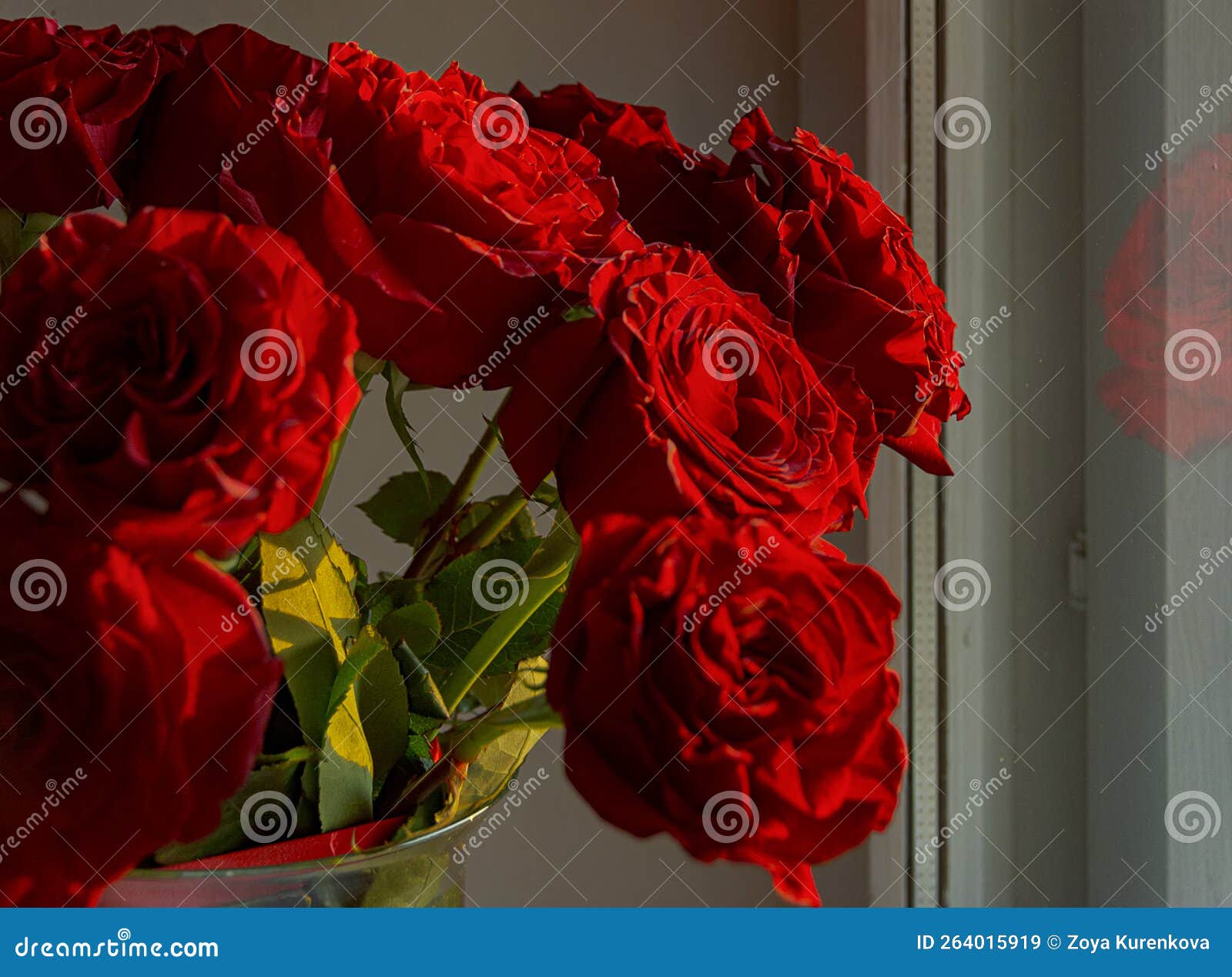 Bouquet of Red Roses As a Birthday Present Stock Image - Image of ...