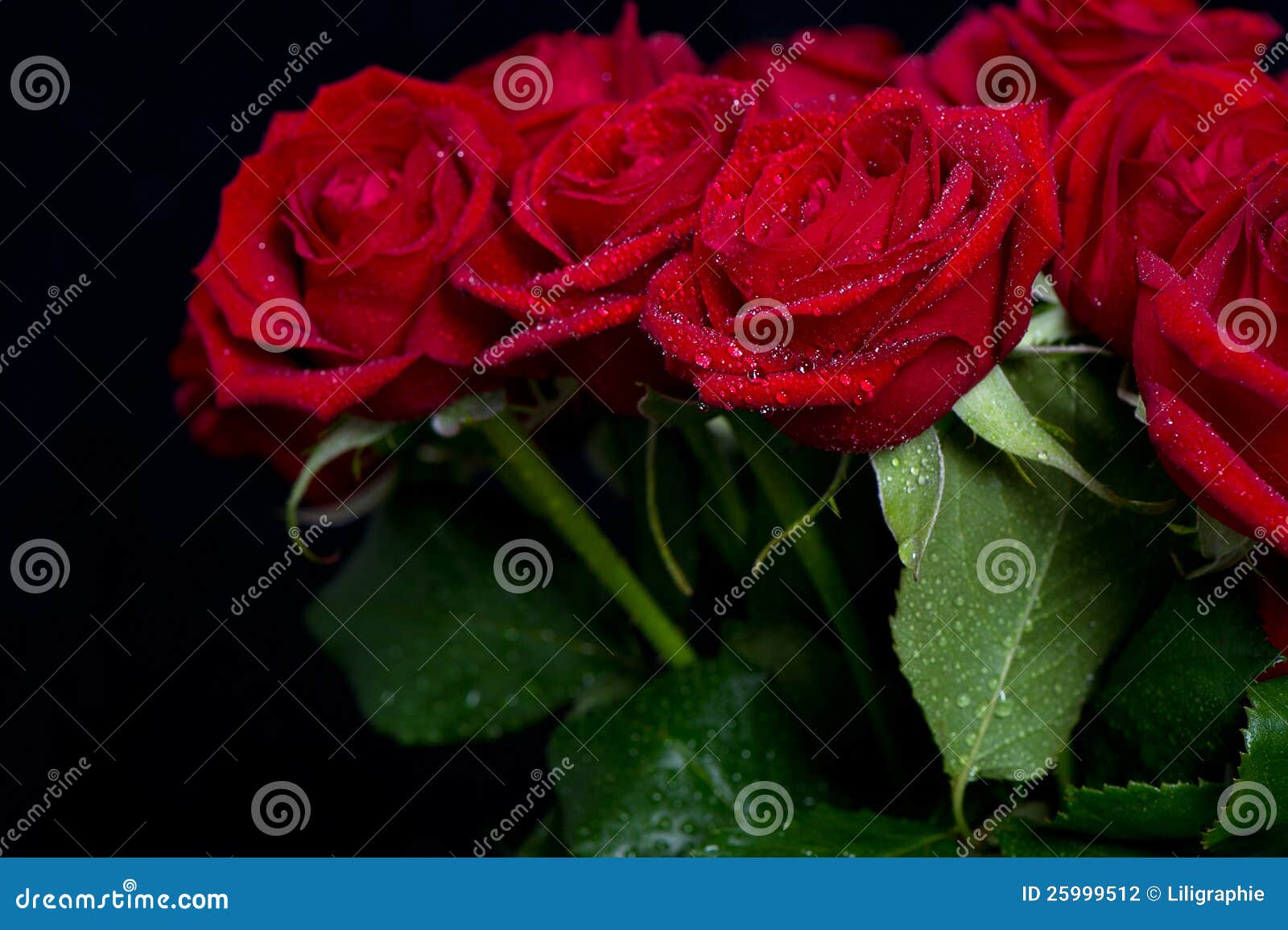 Bouquet Of Red Roses On Black Stock Photo - Image of natural, dark ...