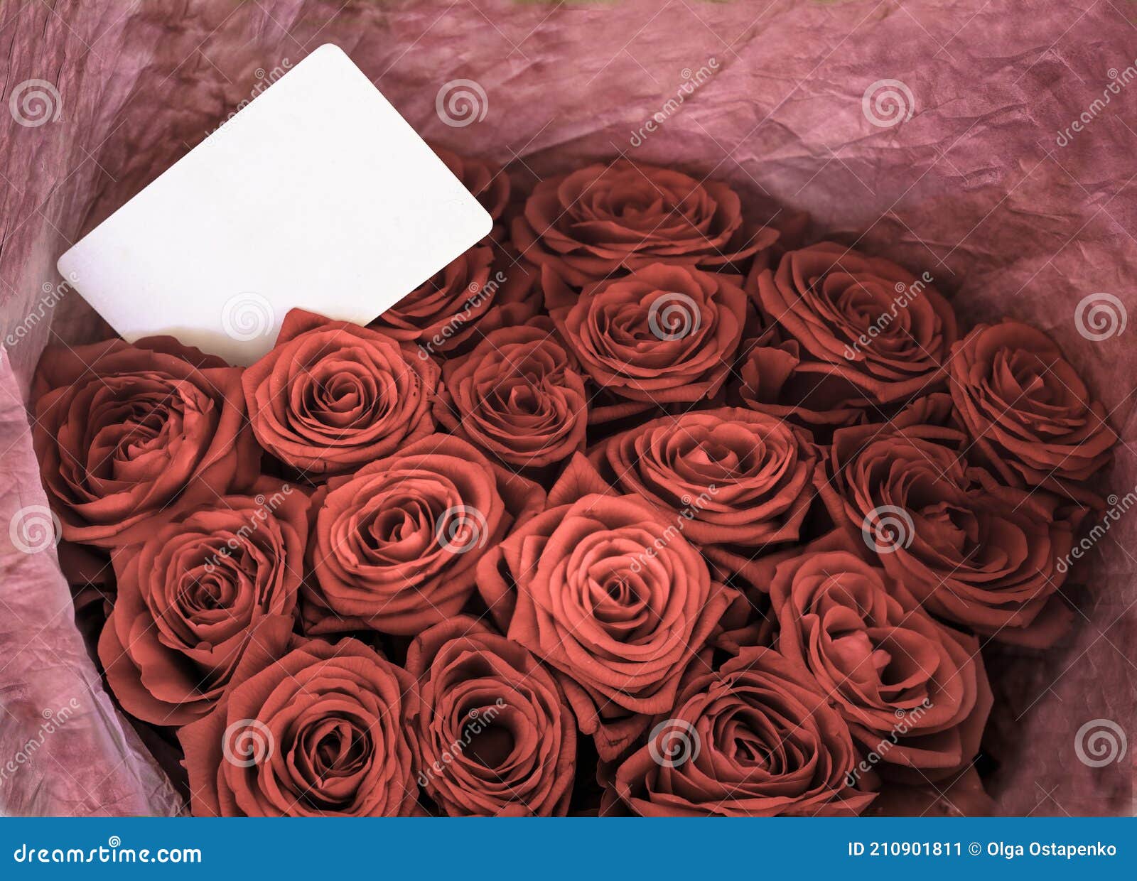 Bouquet of Red Roses with Blank Message Sign for Your Text or Message ...