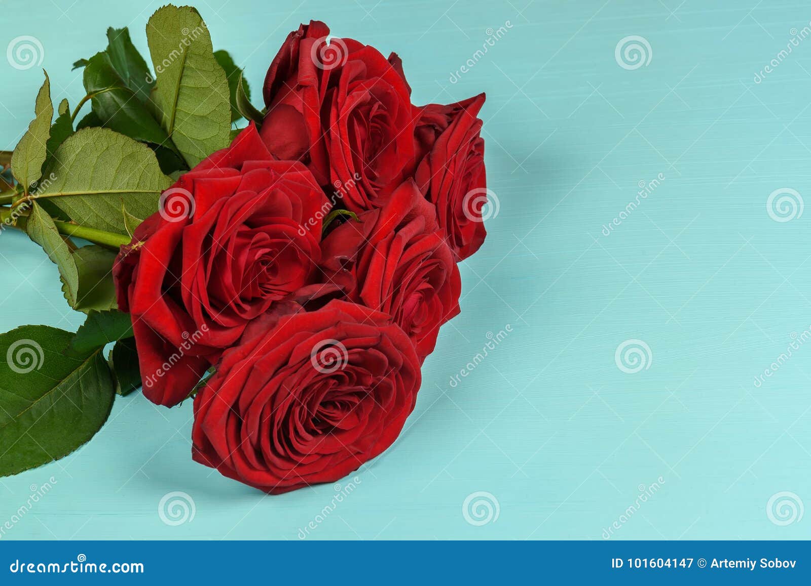 Bouquet of Red Roses on a Blue Background Close-up Stock Image - Image ...