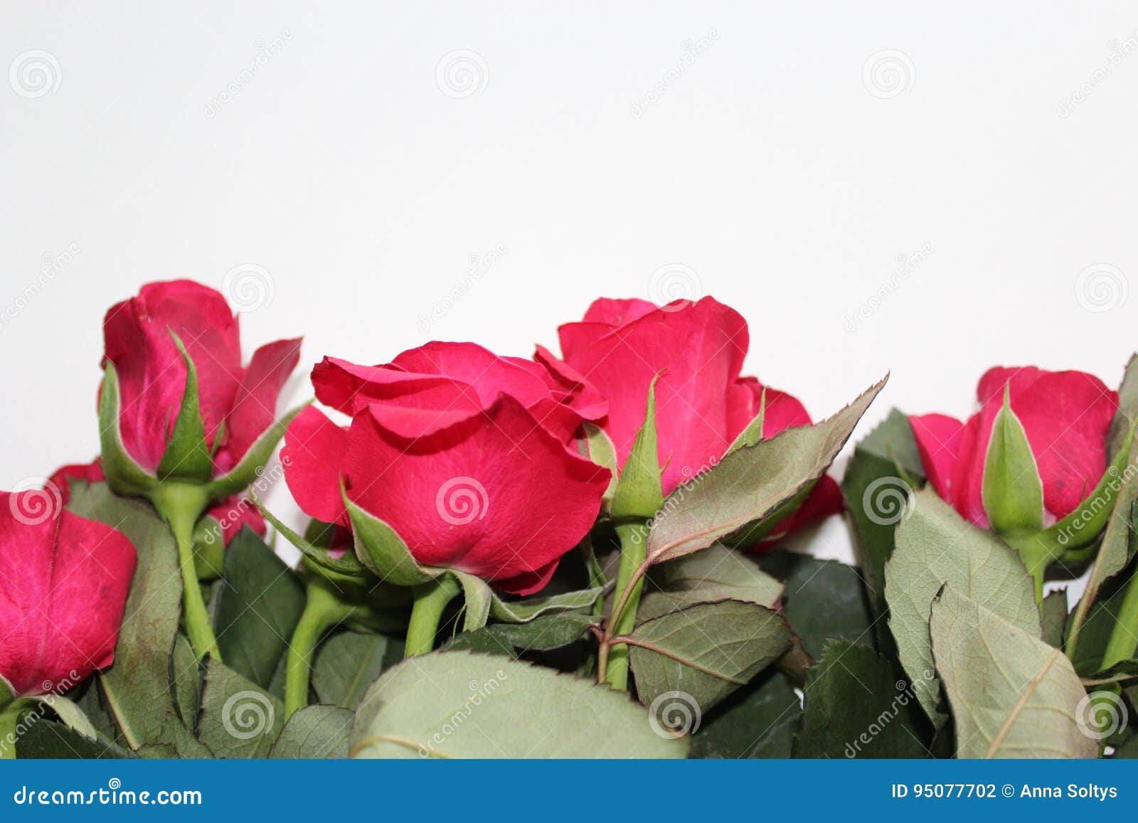 A Bouquet of Red Roses at the Bottom of the Photo. Stock Photo - Image ...