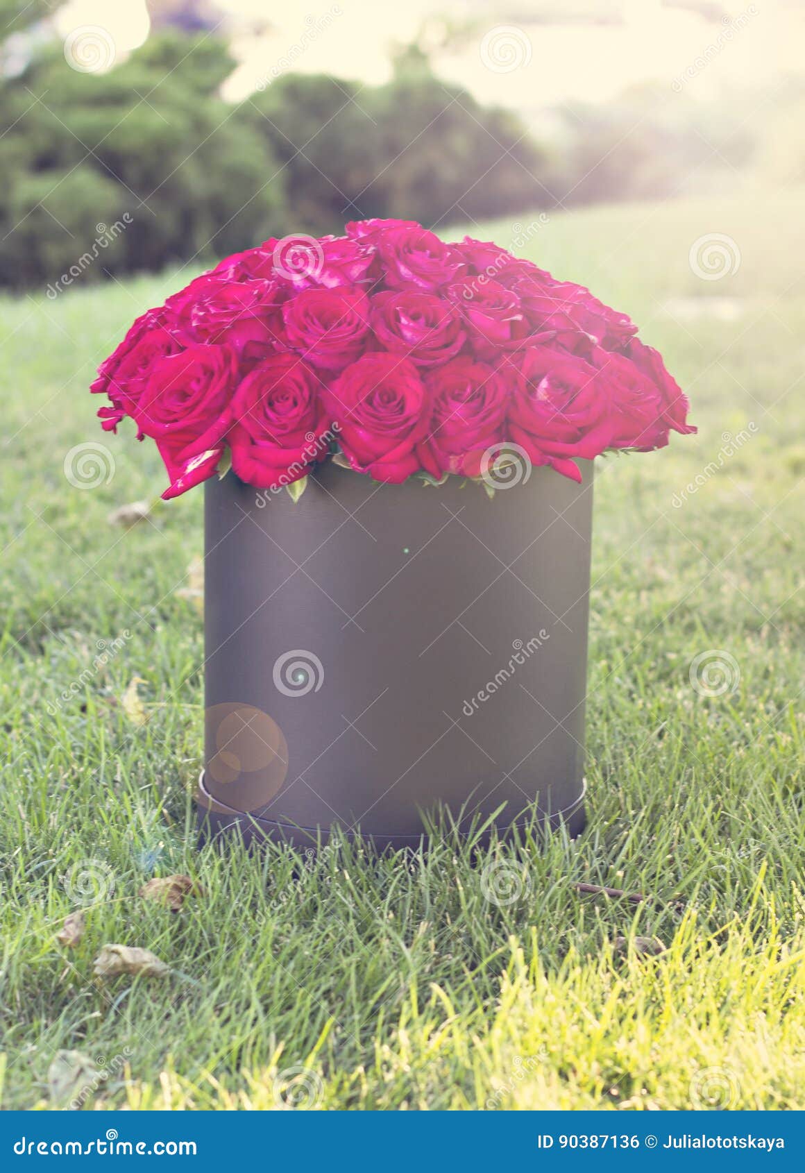 A Bouquet of Red Roses in a Box Stock Photo - Image of colour, birthday ...