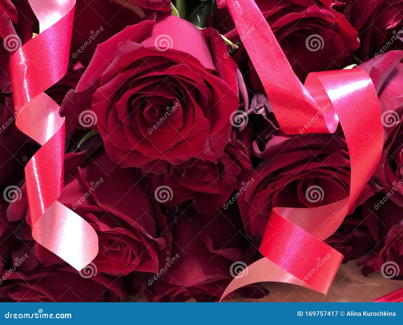 A Bouquet of Red Roses Close-up with Red Ribbon Stock Image - Image of ...