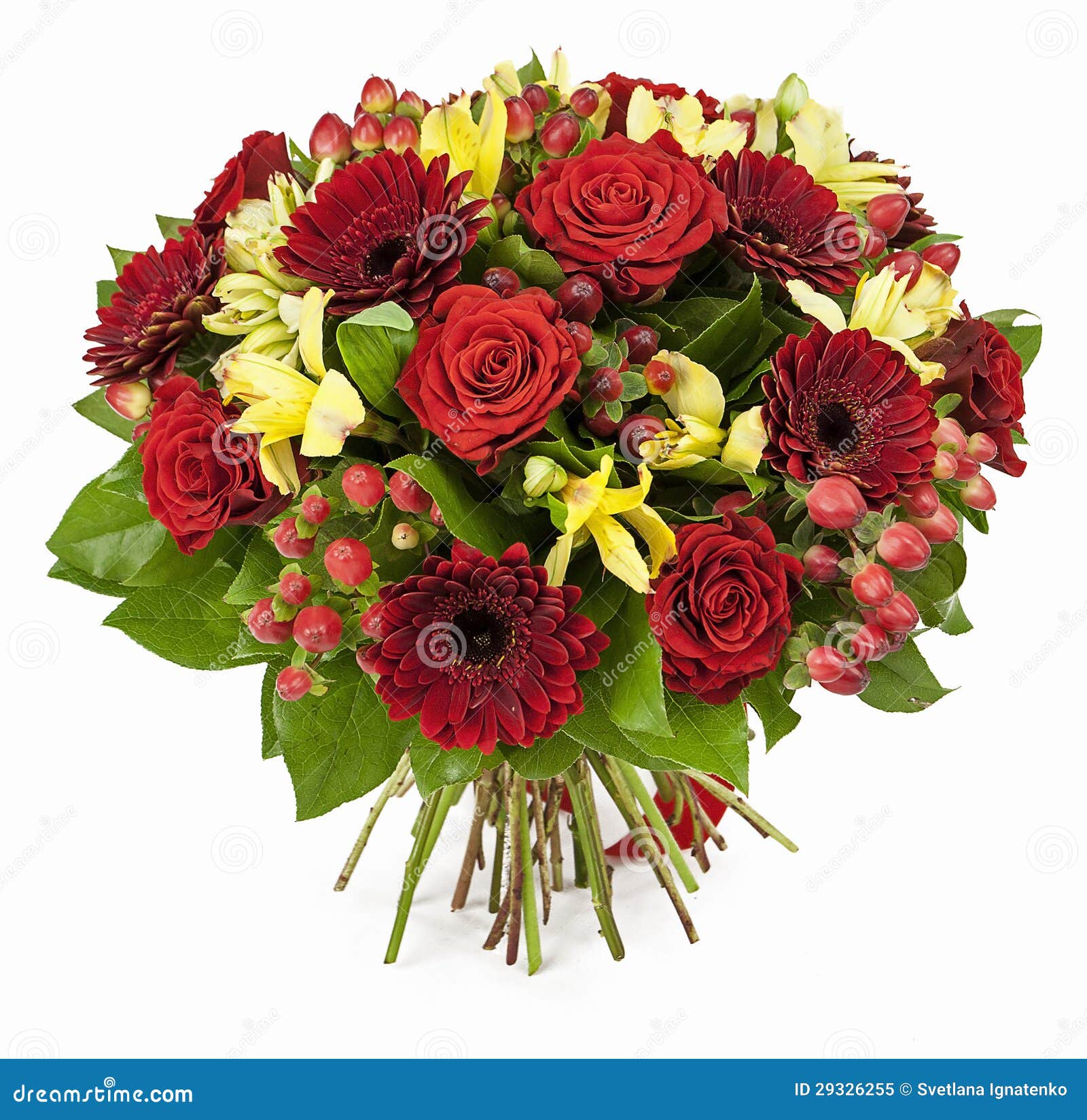 Bouquet of Red Roses and Gerberas Isolated on White Stock Image - Image ...