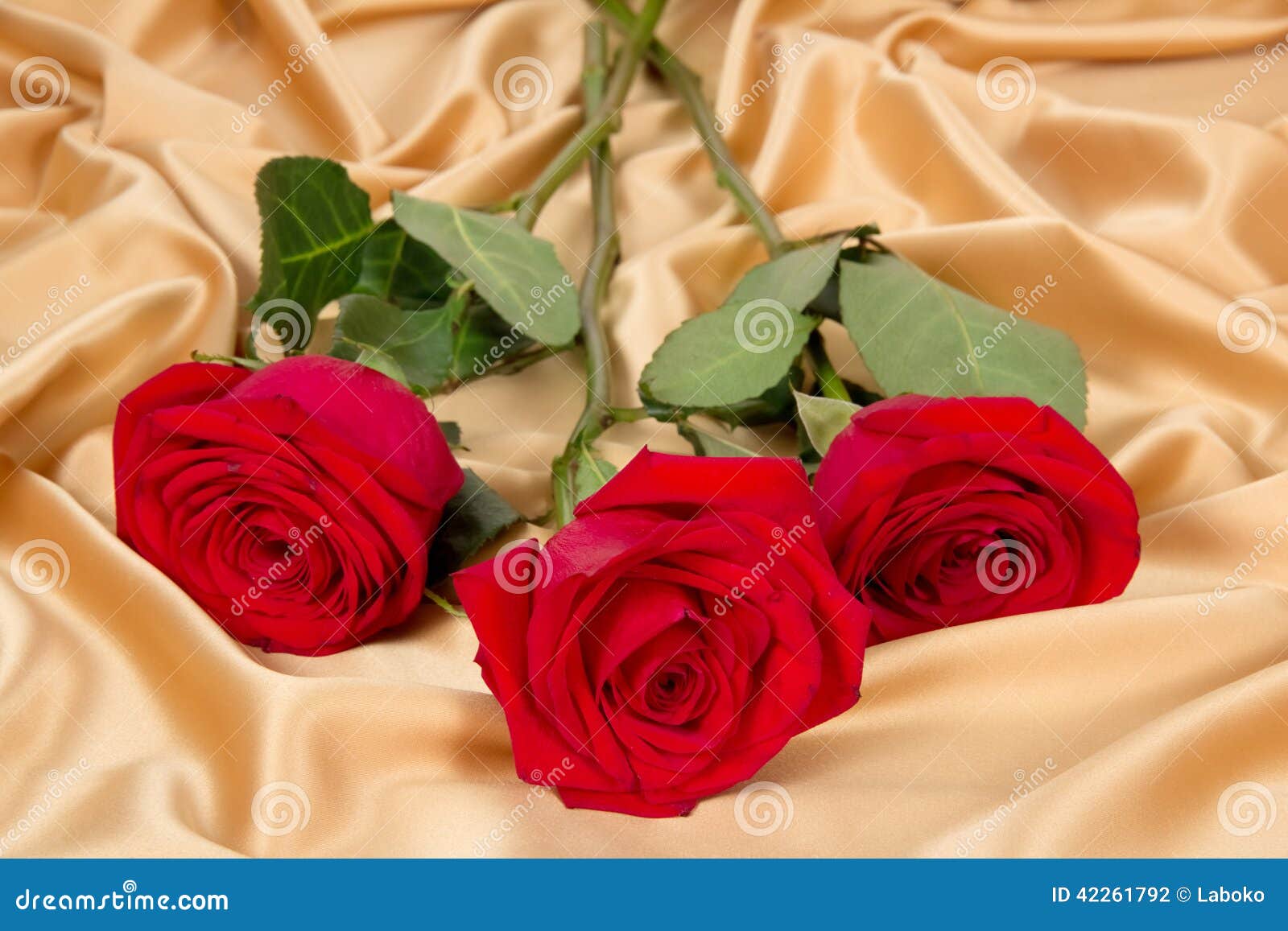 Bouquet of Red Roses on Gold Fabric Stock Photo - Image of blank, bloom ...