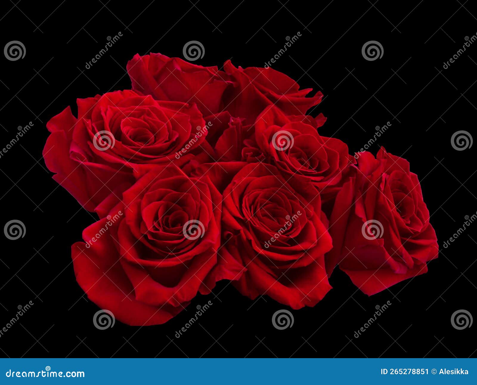 Bouquet of Red Roses Isolated on a Black Background Stock Image - Image ...
