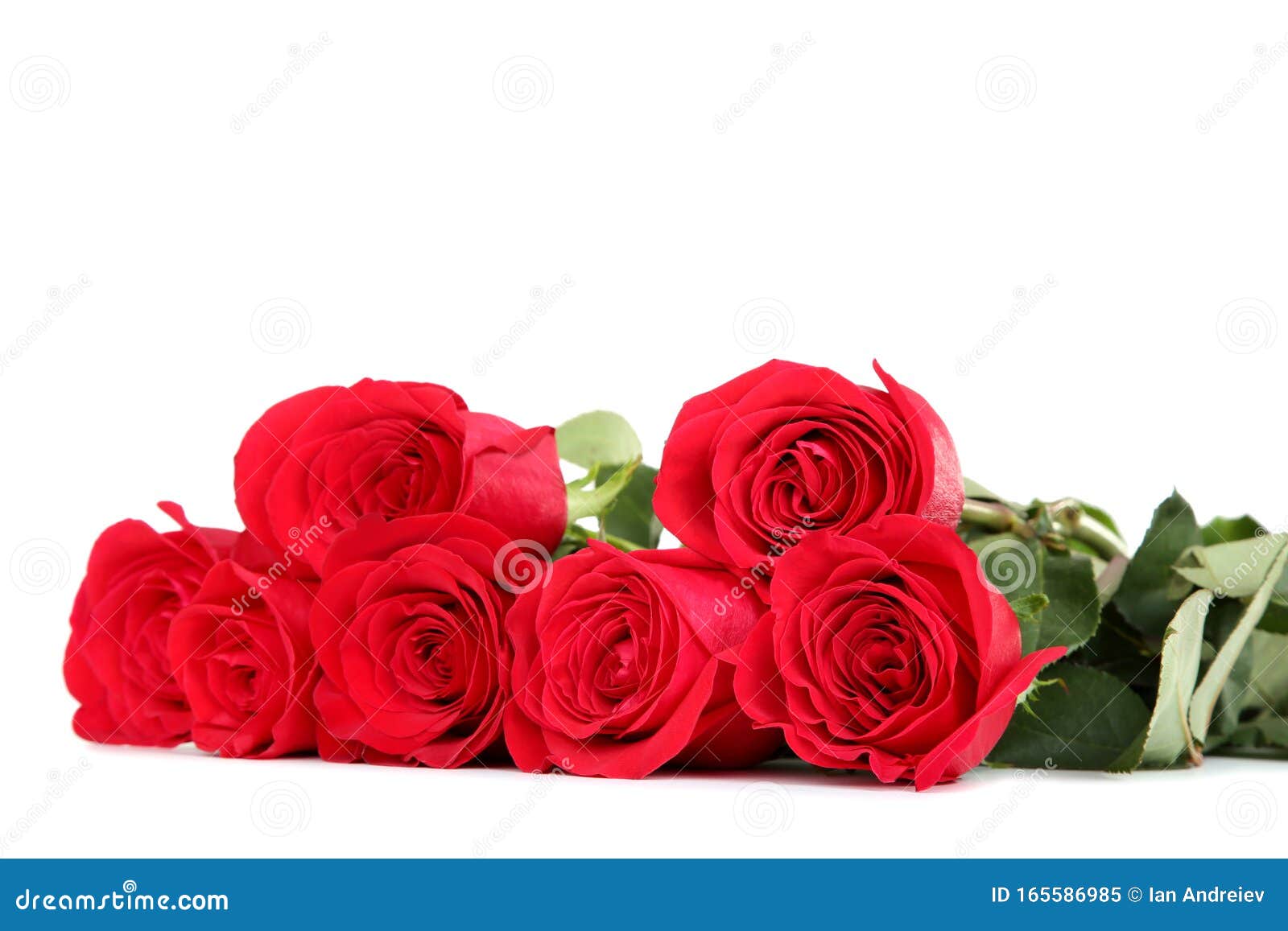 Bouquet of red roses stock image. Image of plant, blossom - 165586985