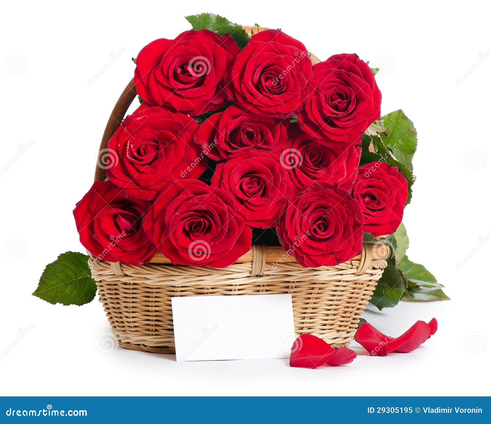 Bouquet of Red Roses Isolated on White Background Stock Image - Image ...