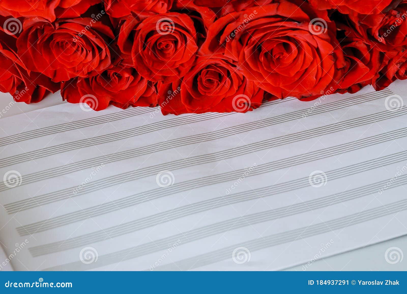 Bouquet of Red Roses on a Sheet for Musical Notes. Copy Space Stock ...