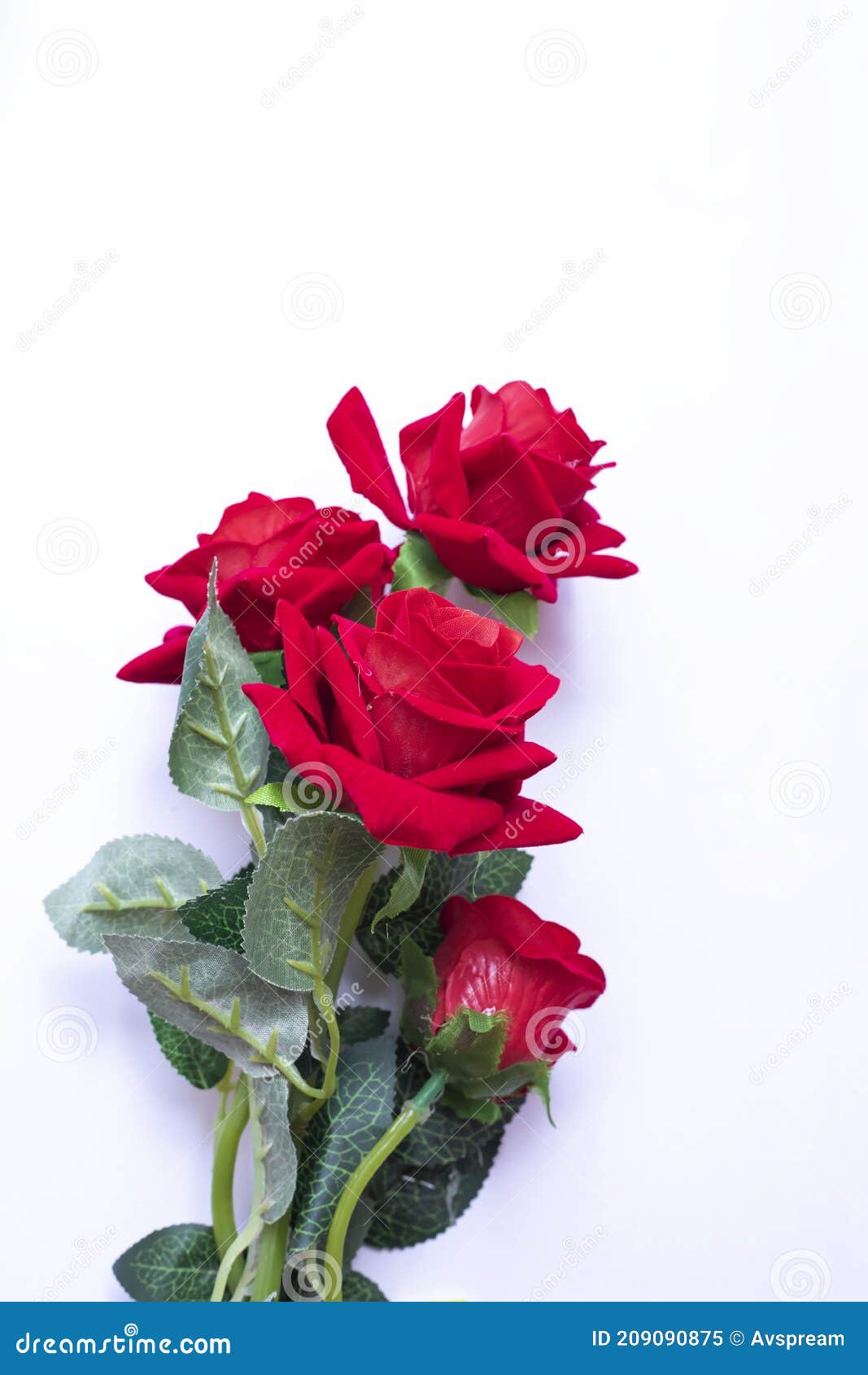 Bouquet of Red Roses on White Background Stock Image - Image of fresh ...