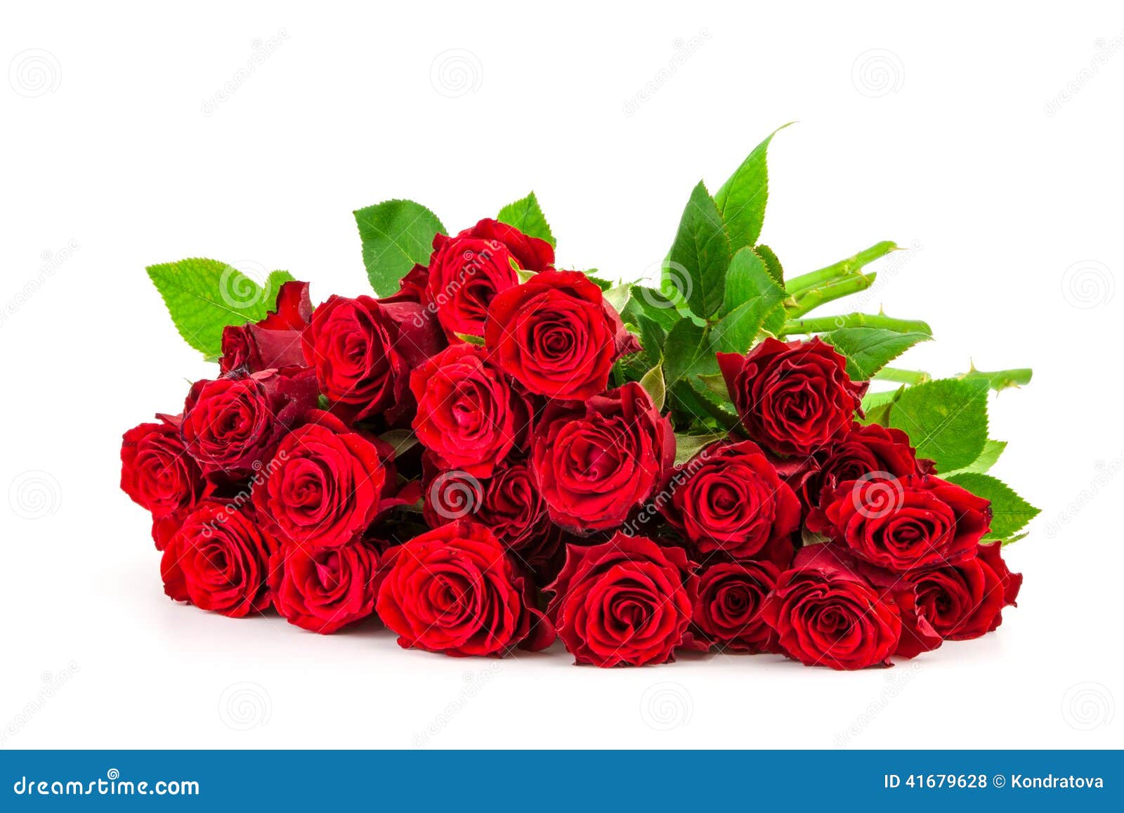 Bouquet of Red Roses on a White Background Stock Photo - Image of long ...