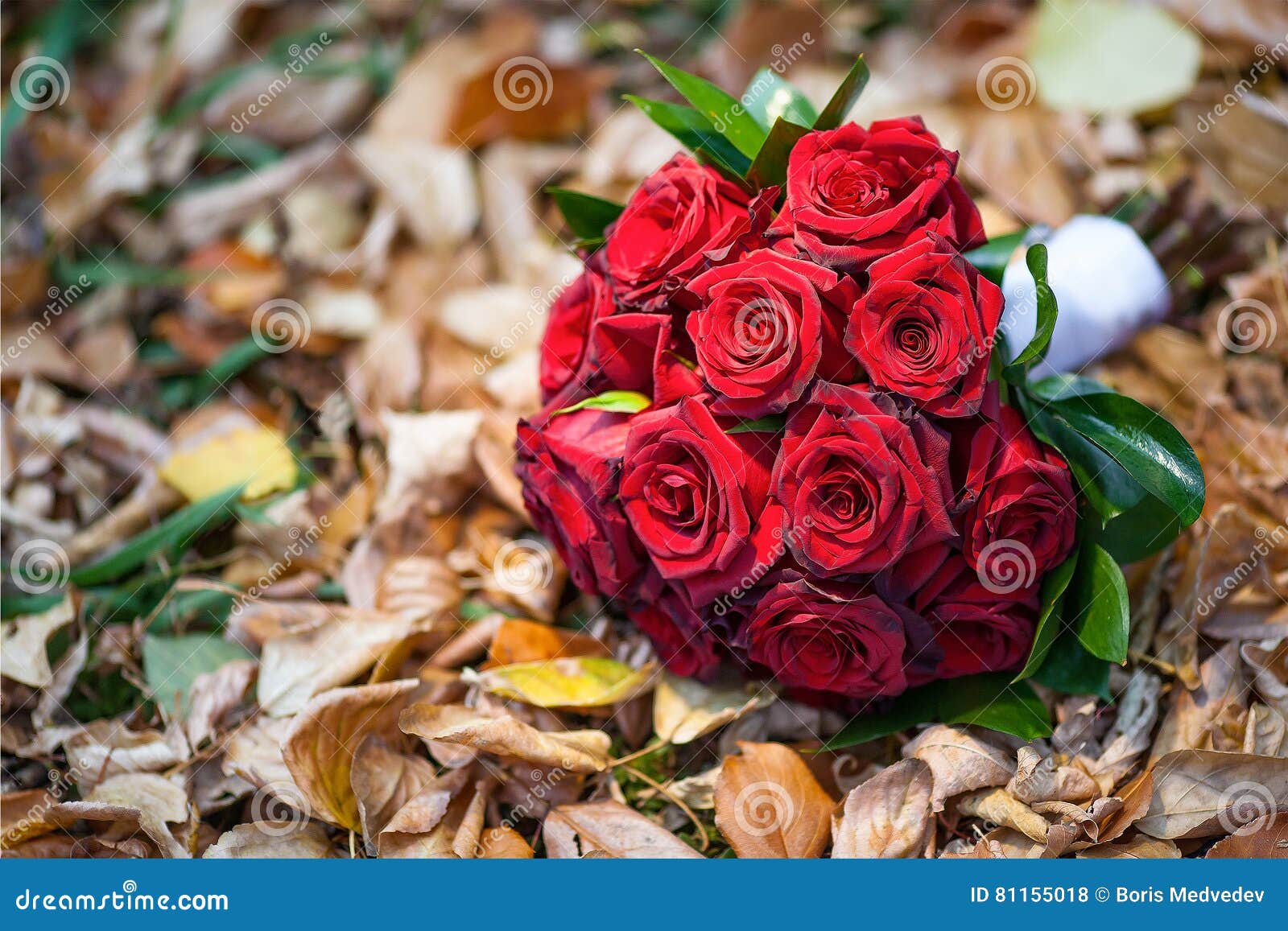 A Bouquet of Red Roses on the Yellow Fallen Leaves Stock Photo - Image ...