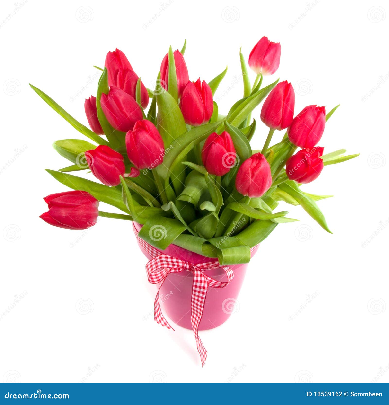 A bouquet of red tulips stock photo. Image of pink, vase - 13539162