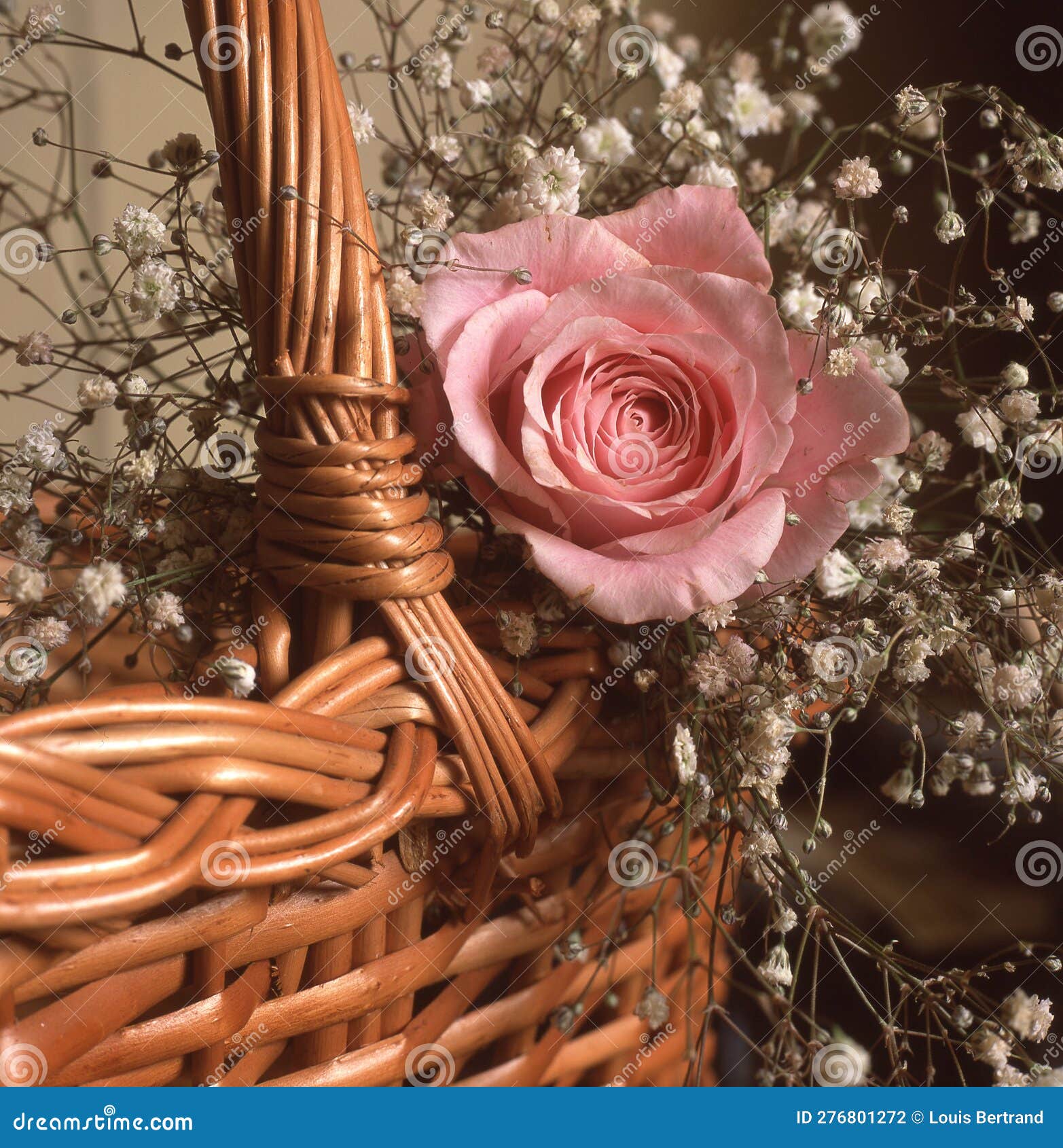 Bouquet of rose stock photo. Image of nature, pink, romantic - 276801272